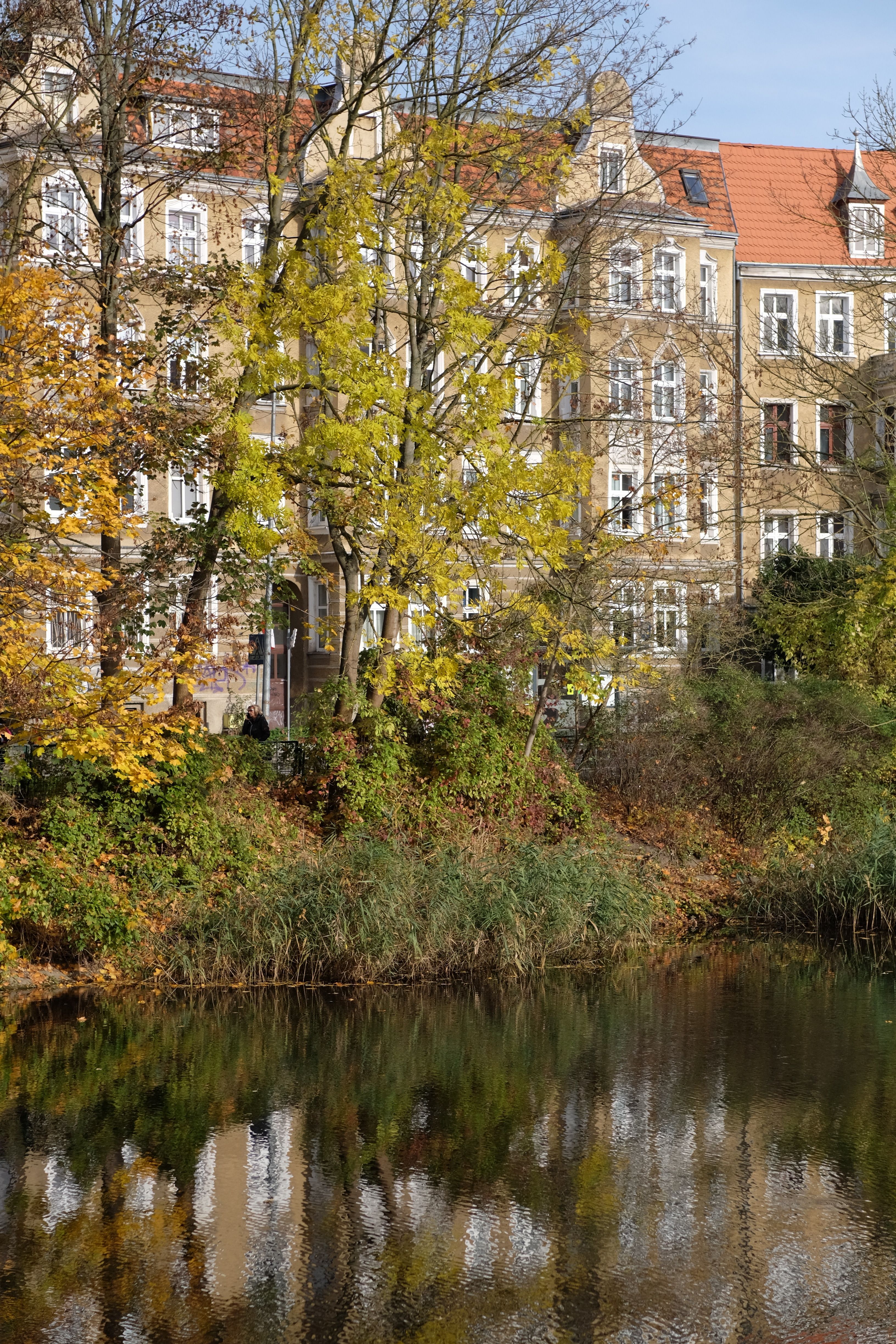 Charming European Apartment Buildings by Riverside · Free Stock Photo