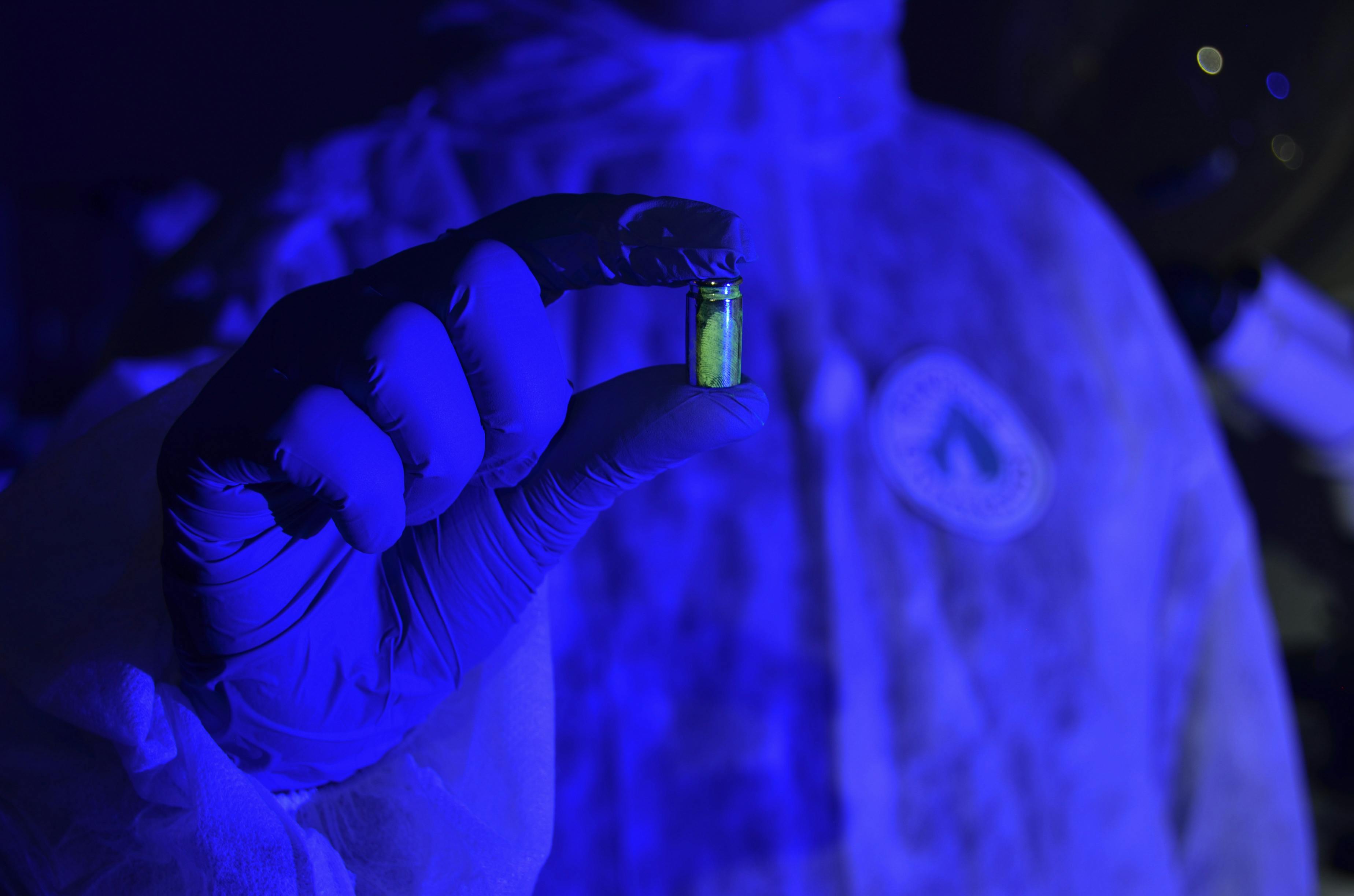 Crow Experiment Photos, Download The BEST Free Crow Experiment Stock ...