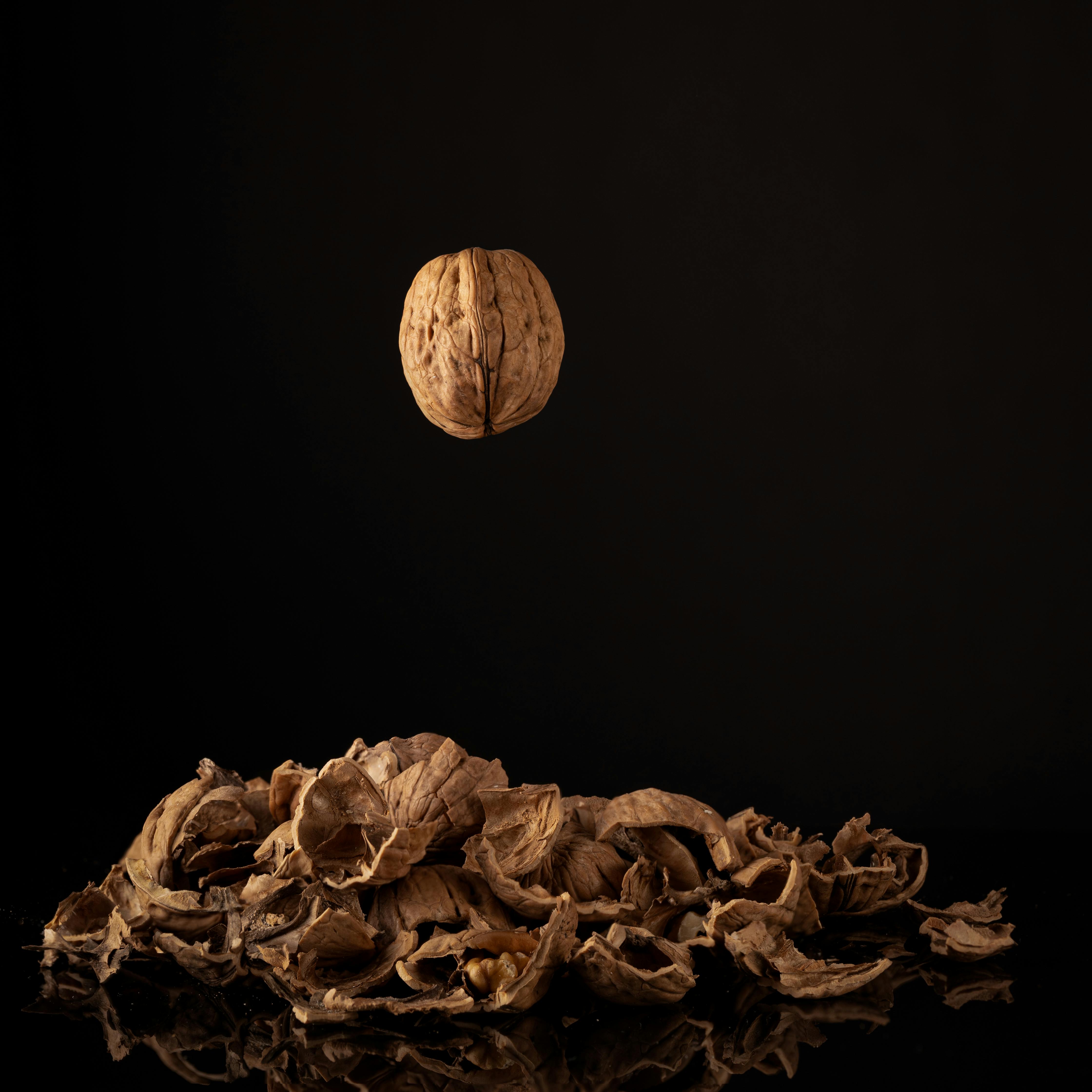 Floating Walnut Above Shells on Black Background · Free Stock Photo