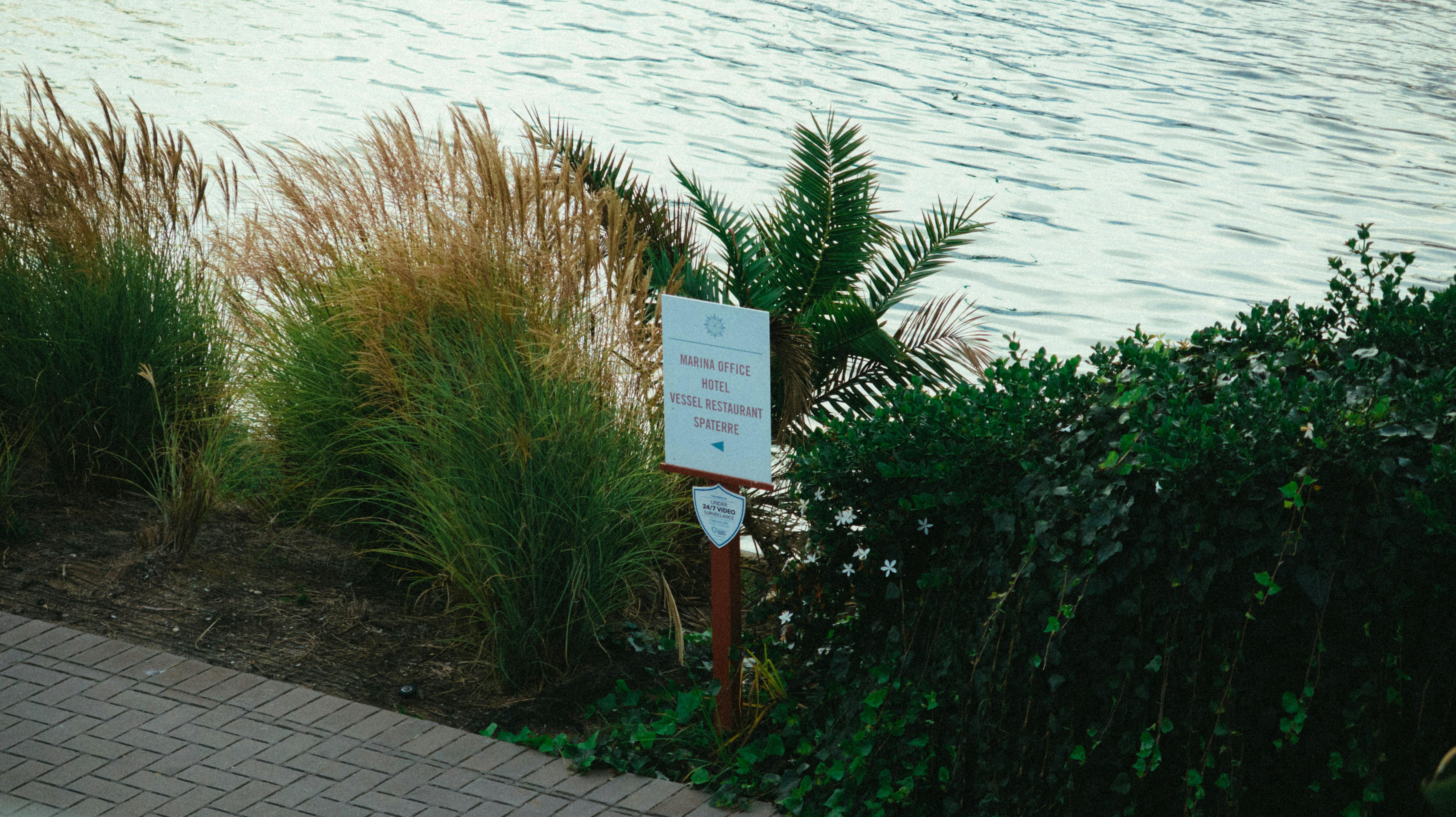 Badwater Basin Signage · Free Stock Photo