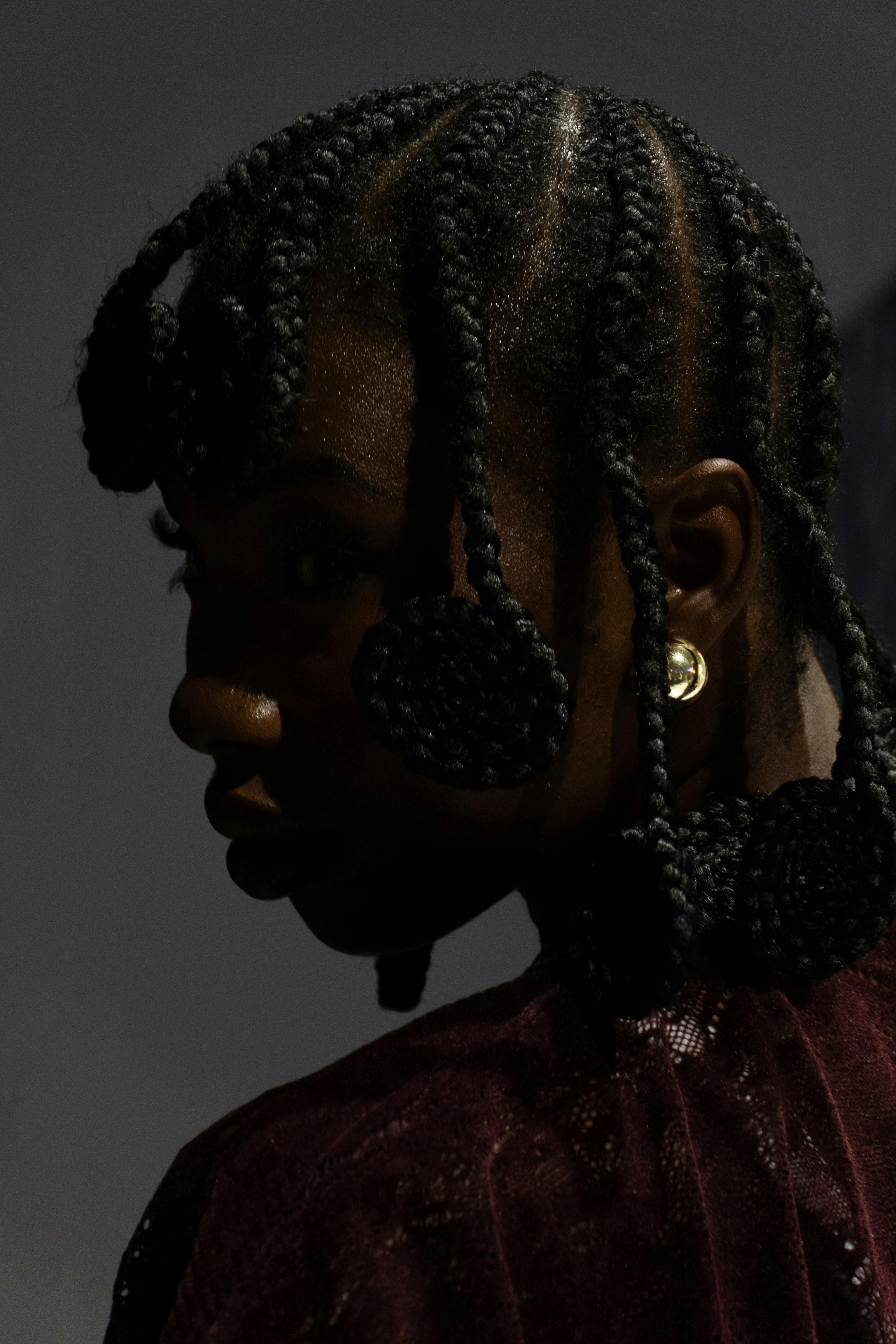 Portrait of Woman with Intricate Braided Hairstyles · Free Stock Photo
