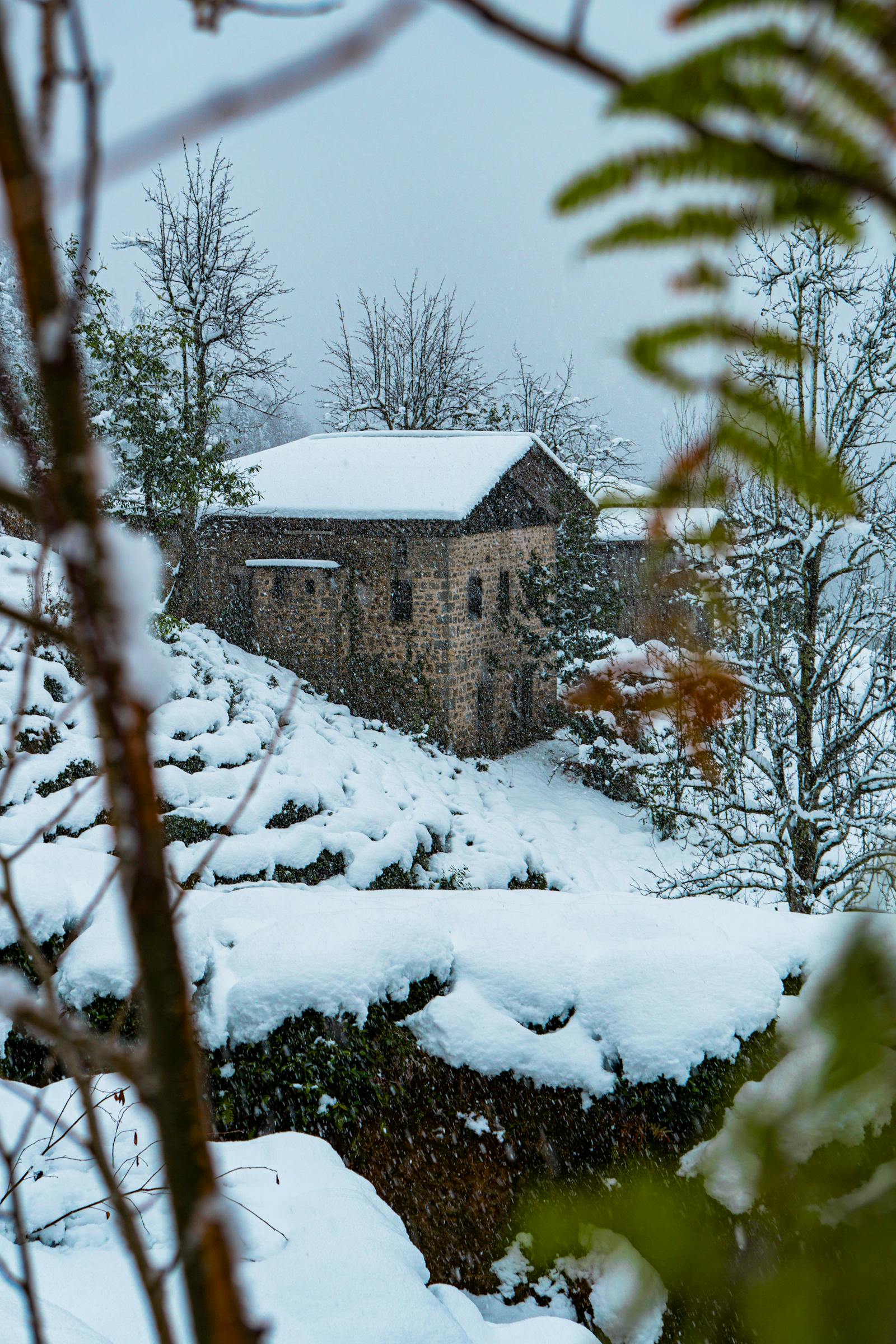 Winter, Snow Scenes Photos, Download The BEST Free Winter, Snow Scenes ...