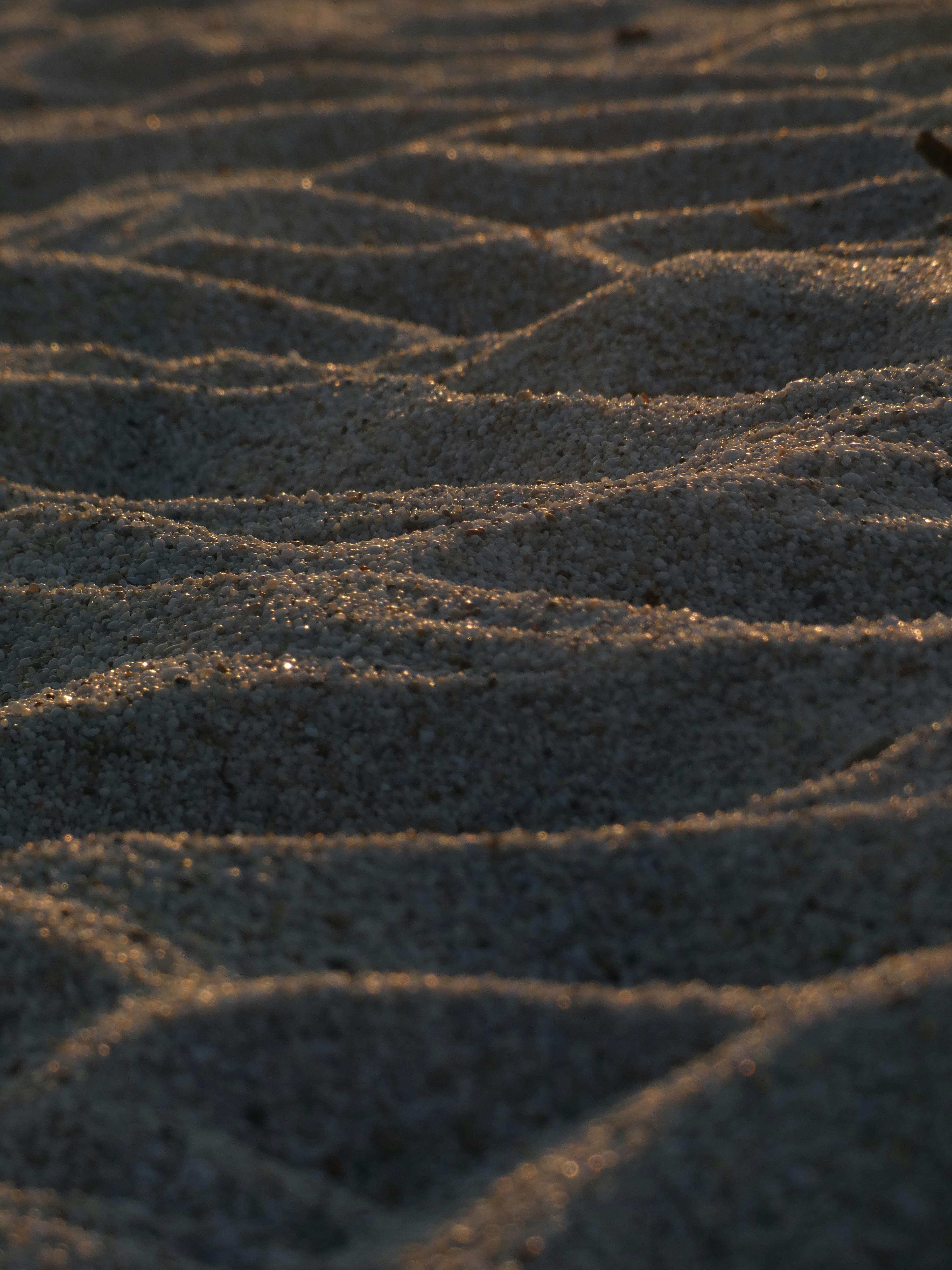 Sunlit Sand Patterns Captured in Natural Light · Free Stock Photo