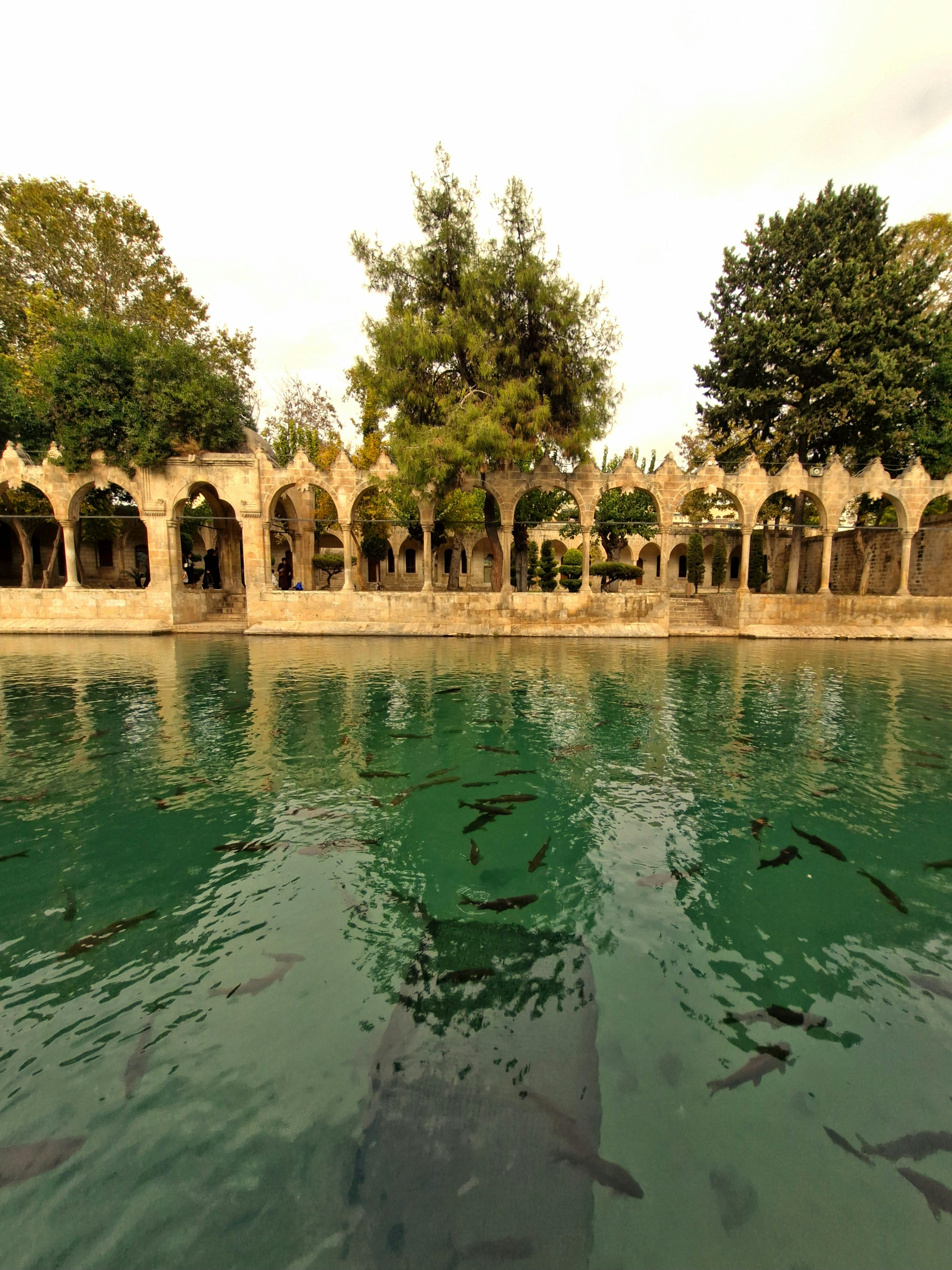 Historic Stone Arches Reflect in Tranquil Fish Pond · Free Stock Photo