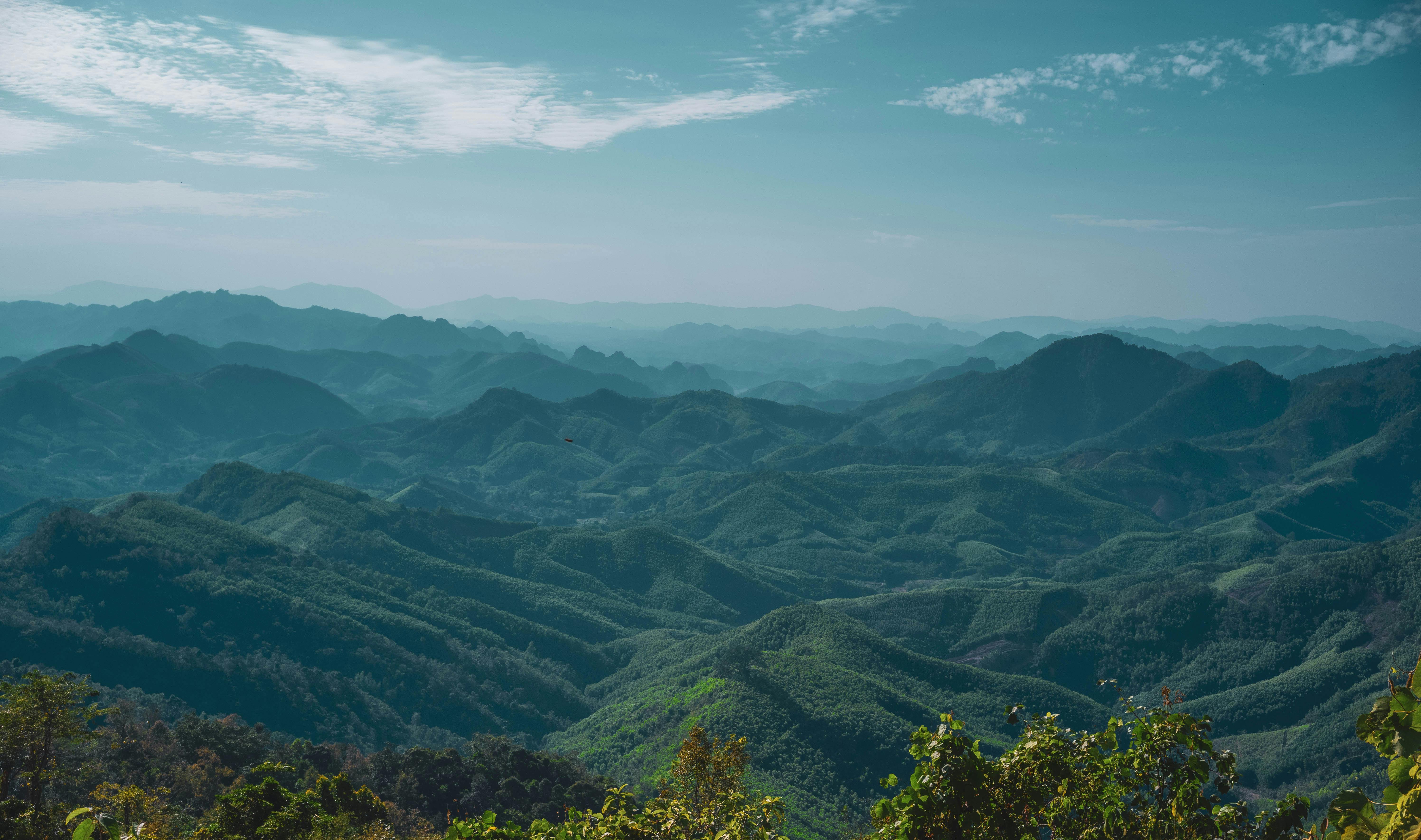 Green Environment Photos, Download The BEST Free Green Environment ...