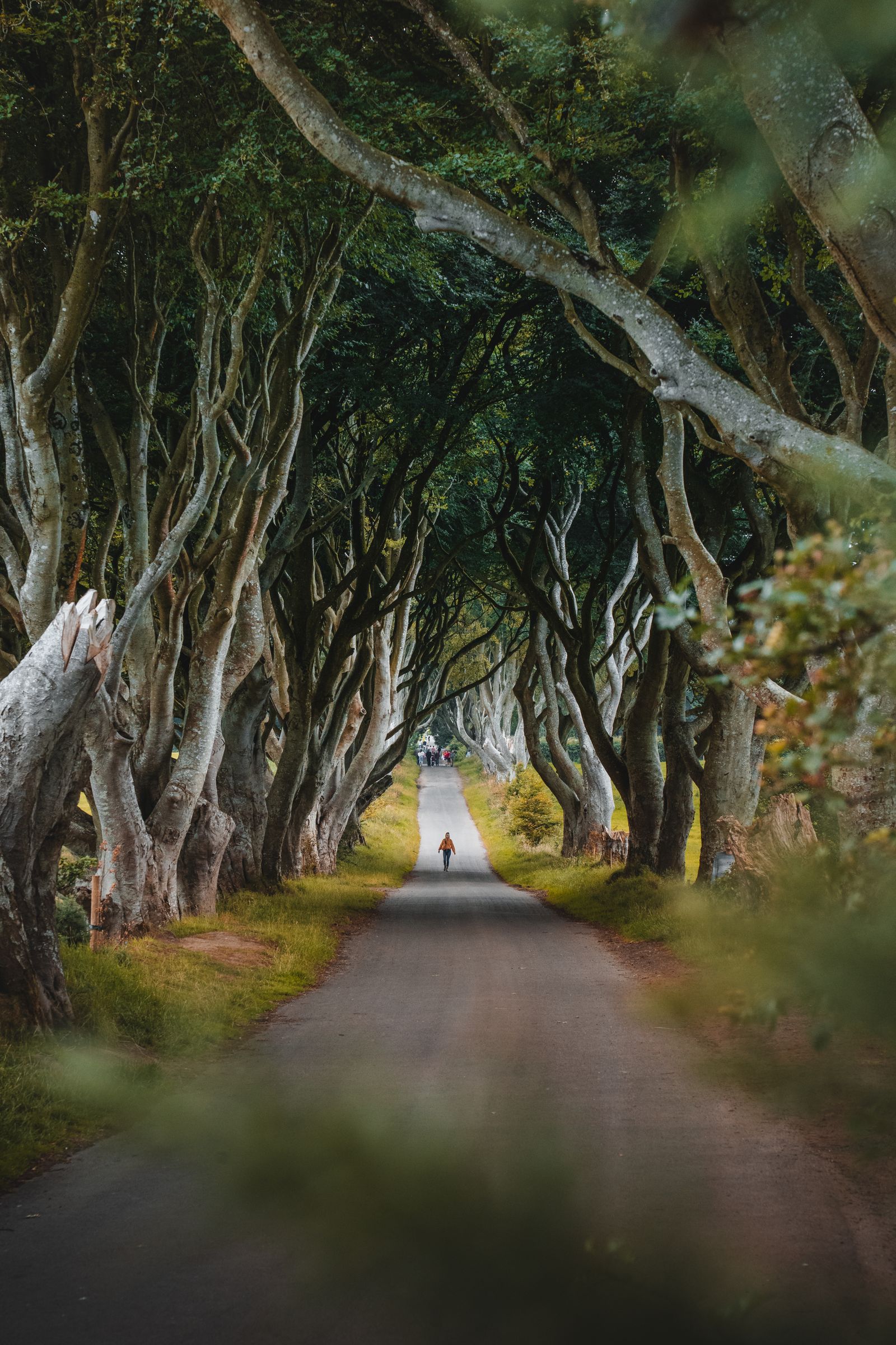 Ireland Landscape Photos, Download The BEST Free Ireland Landscape ...