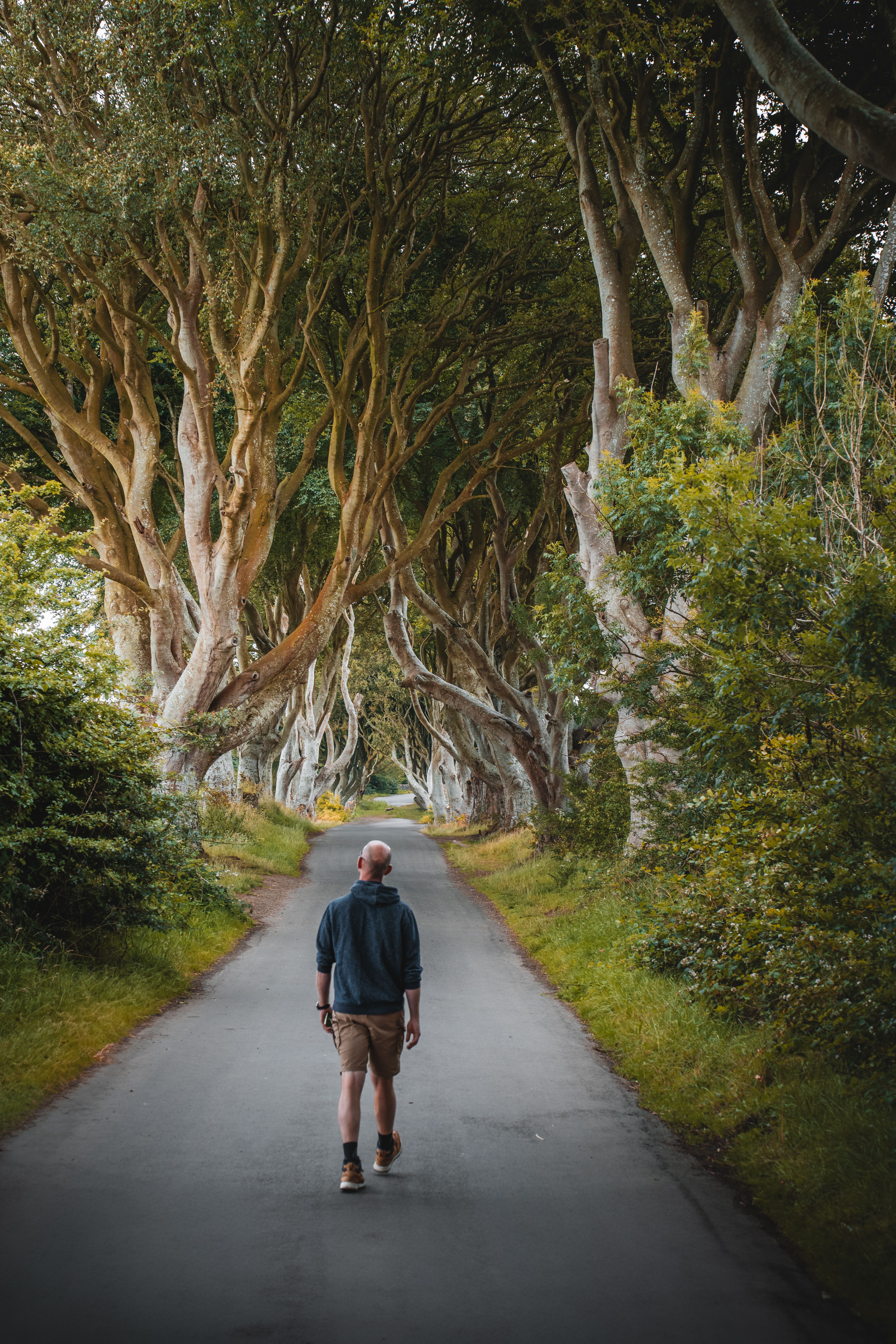 Enchanted Dark Hedges of Ballymoney, Northern Ireland · Free Stock Photo