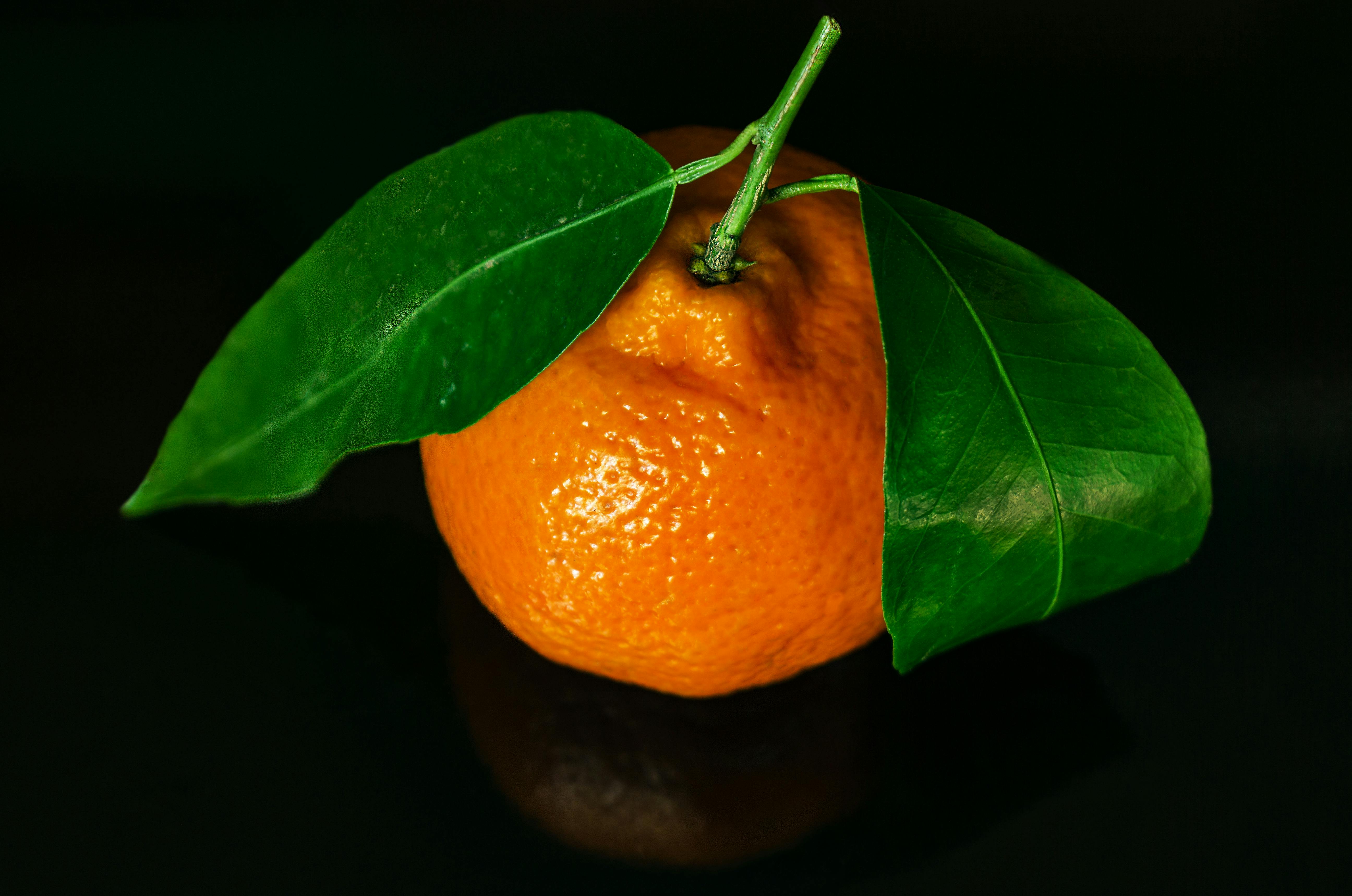 Photo gratuite de fruit