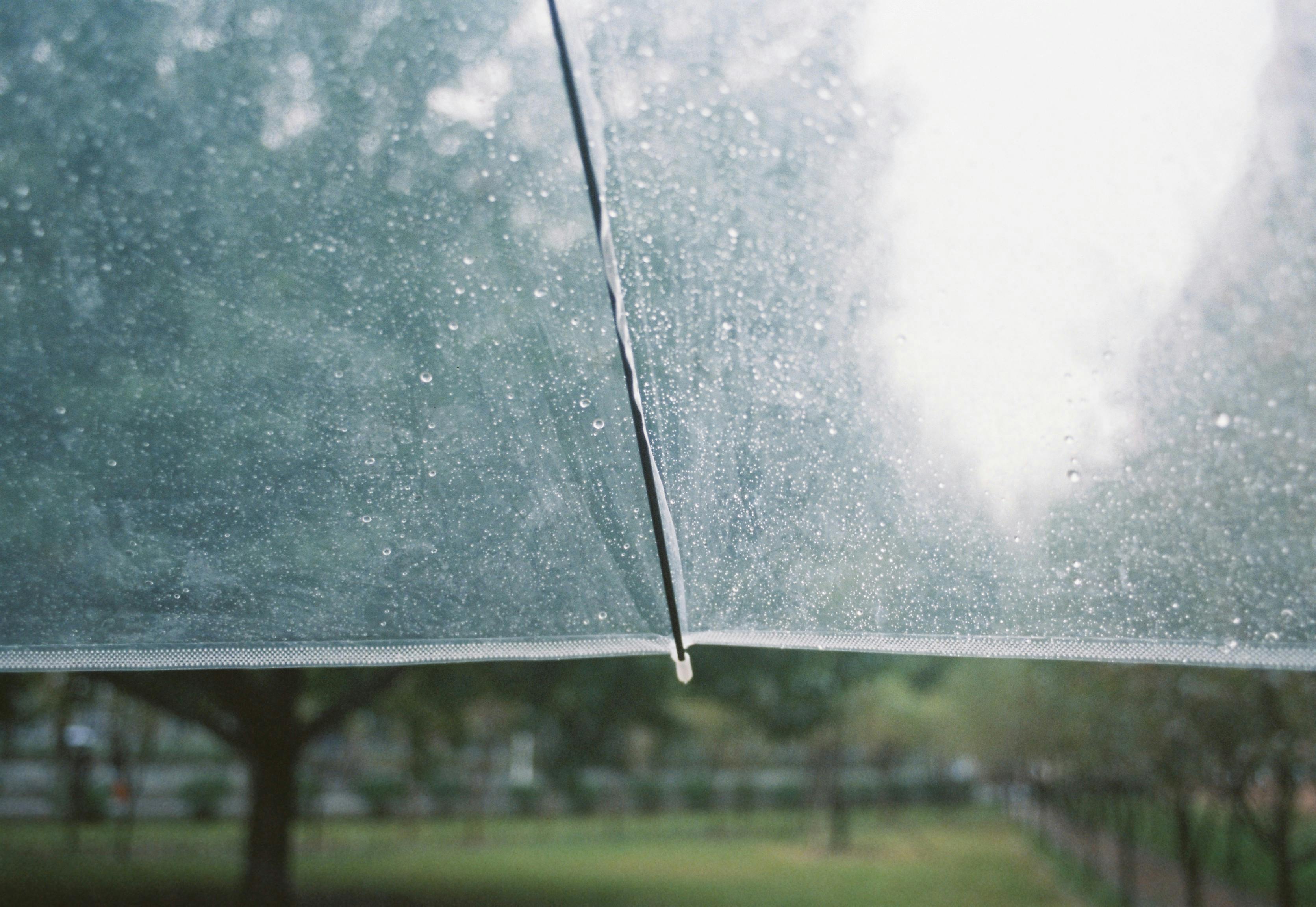 Clear Umbrella with Raindrops in Park Setting · Free Stock Photo