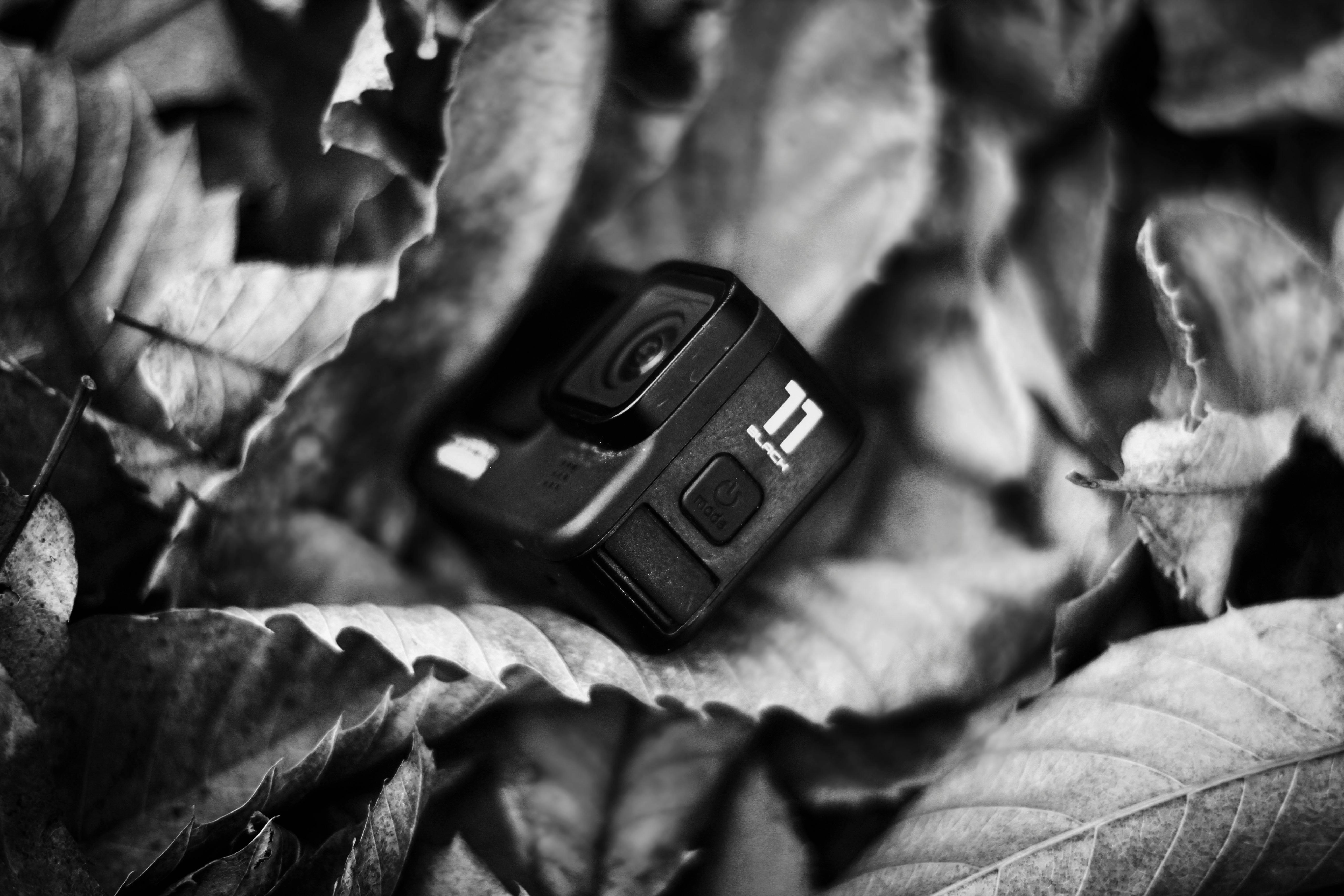 Black and White GoPro on Autumn Leaves · Free Stock Photo
