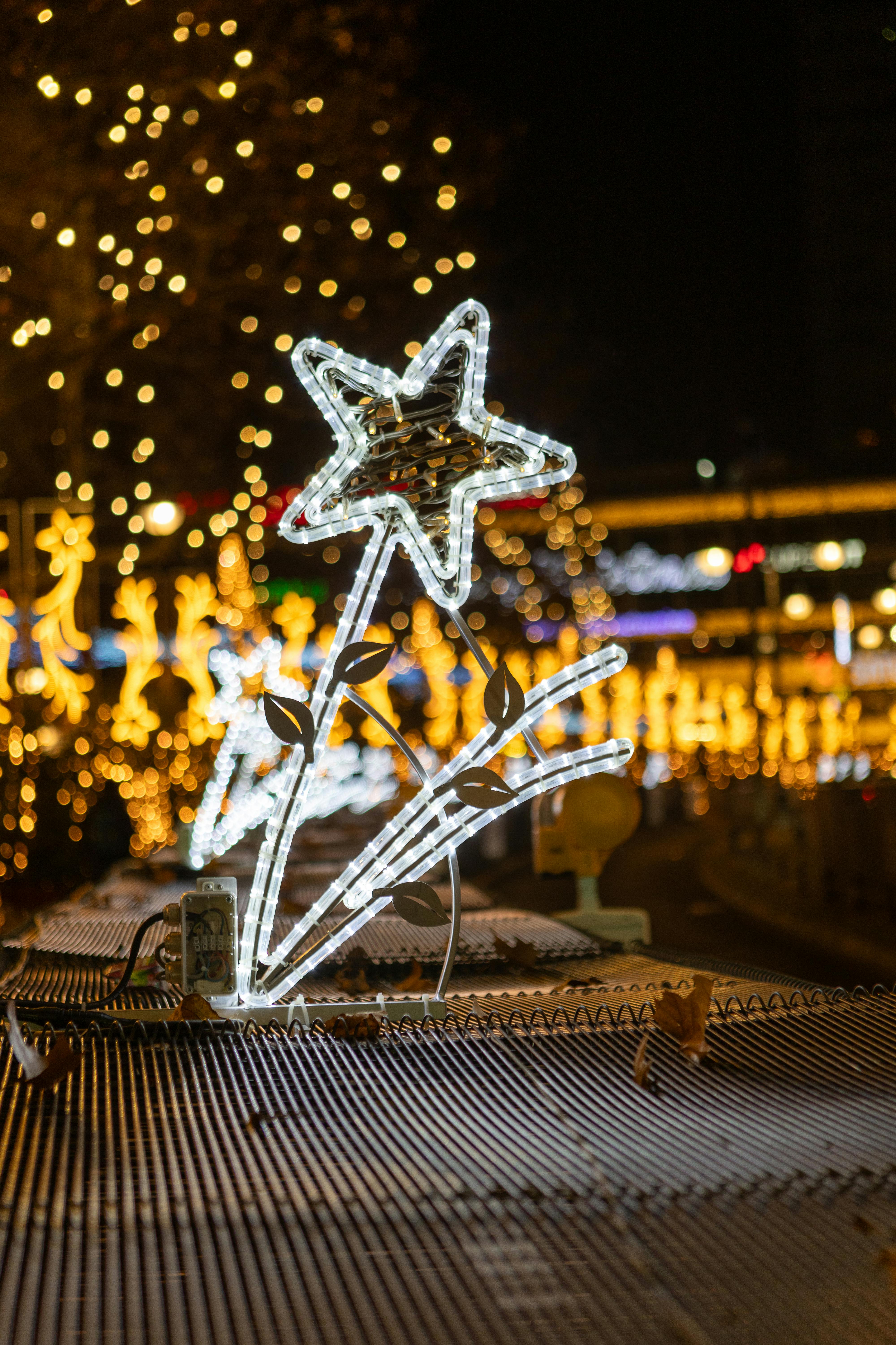 Estrella De Navidad · Foto de stock gratuita