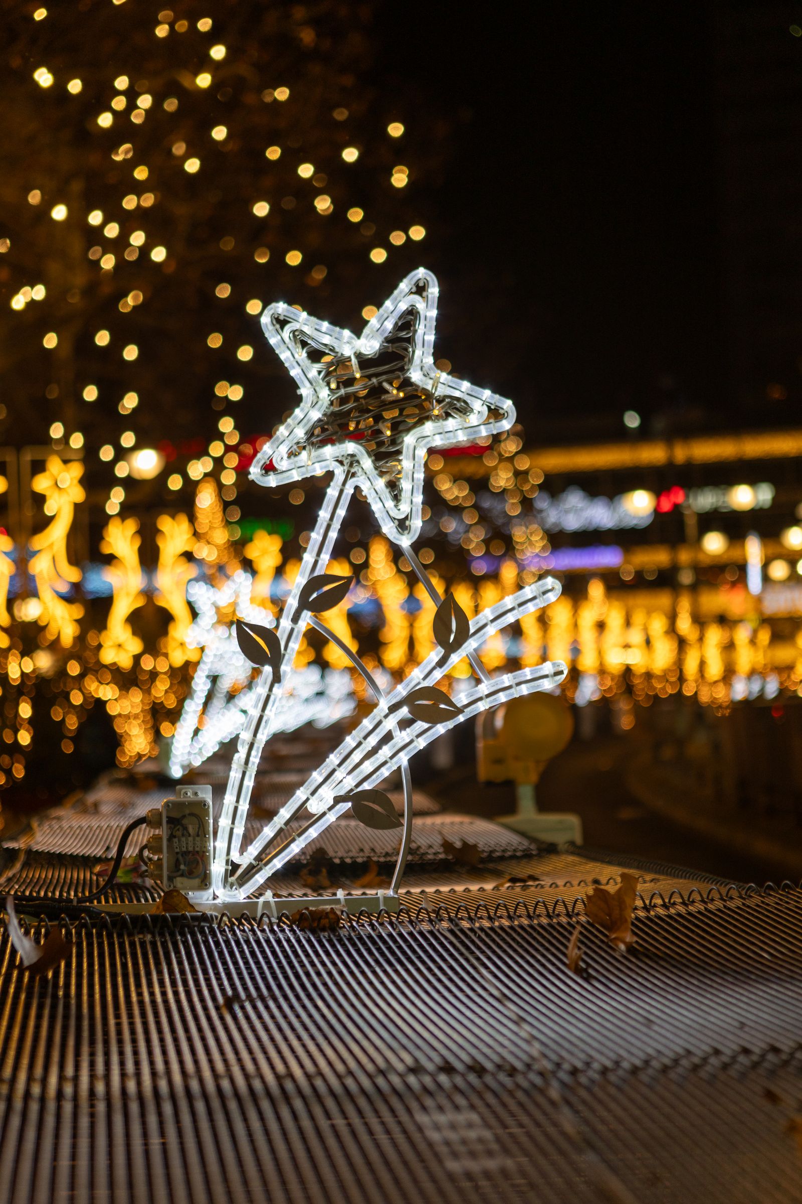 30.000+ Stern Weihnachten Bilder und Fotos · Kostenlos Downloaden ...