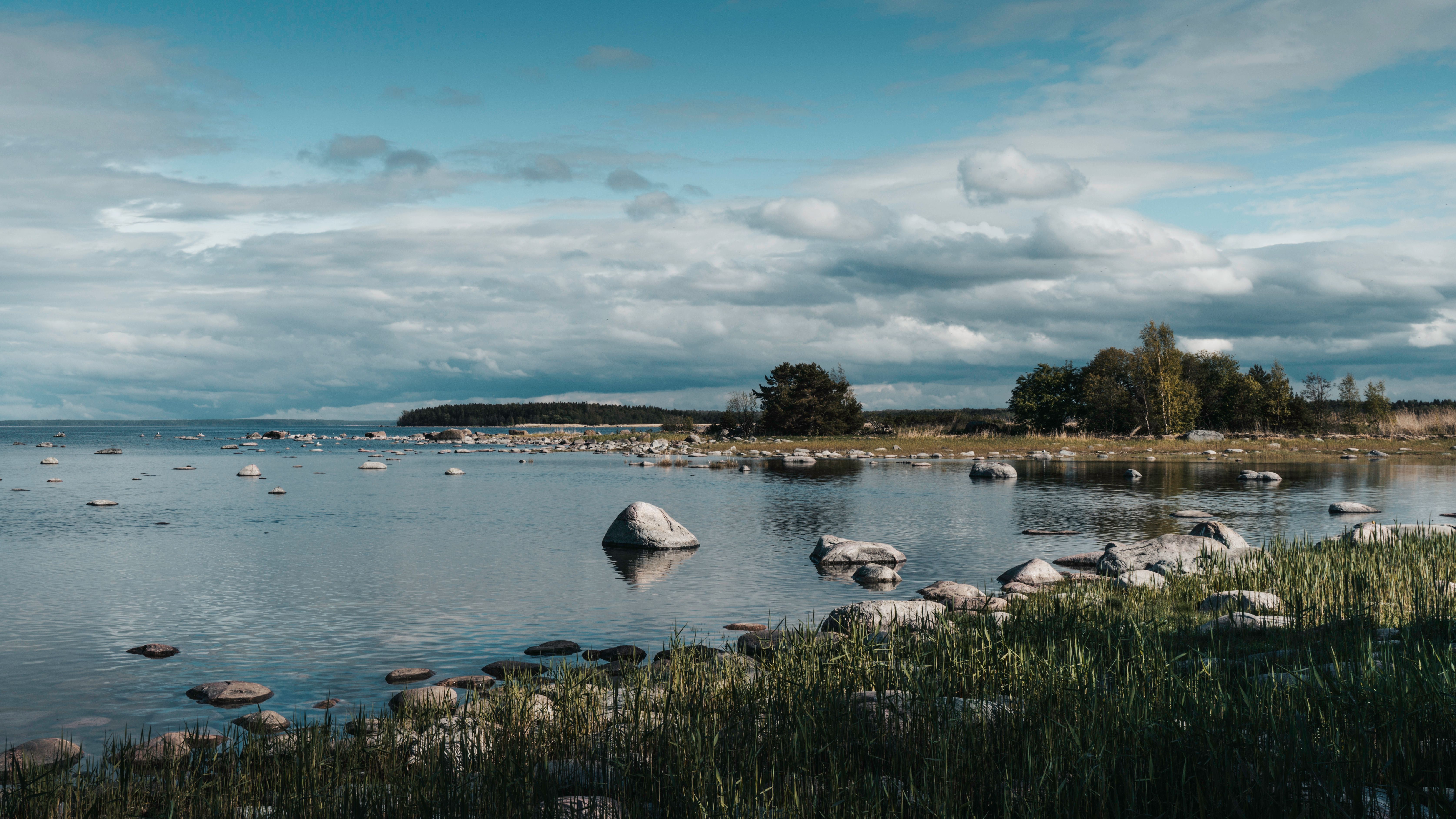 Scenic View of Lahemaa National Park Shoreline · Free Stock Photo