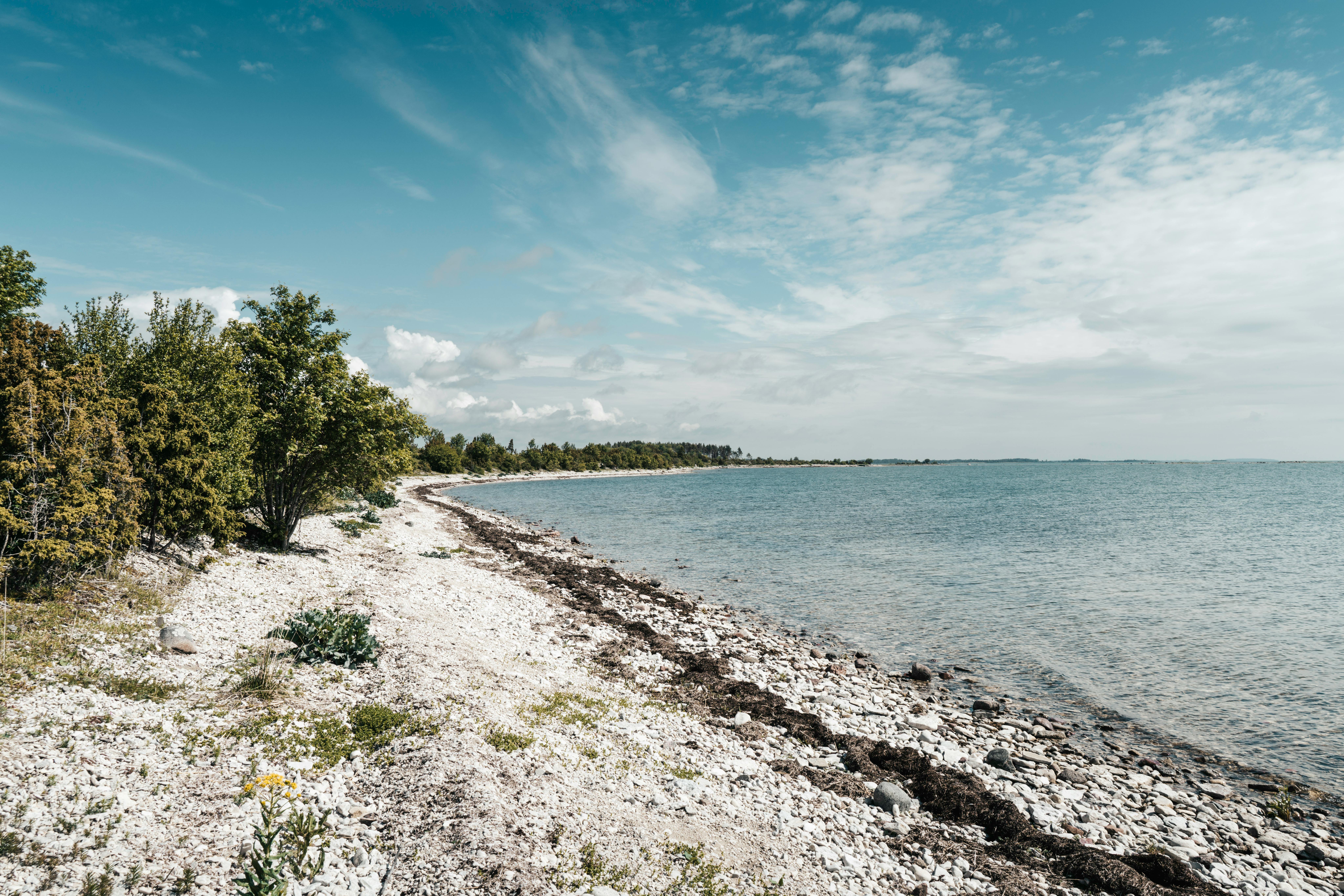 Scenic Cobblestone Beach on Hiiumaa Island · Free Stock Photo