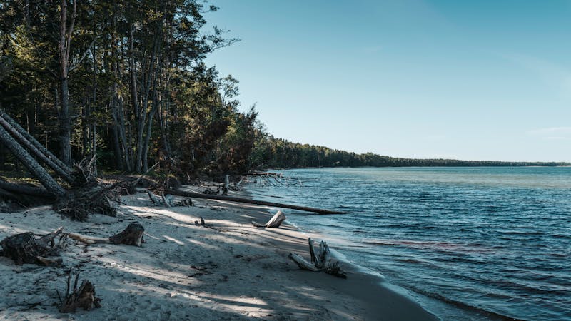 Beach Screensavers Photos, Download The BEST Free Beach Screensavers ...