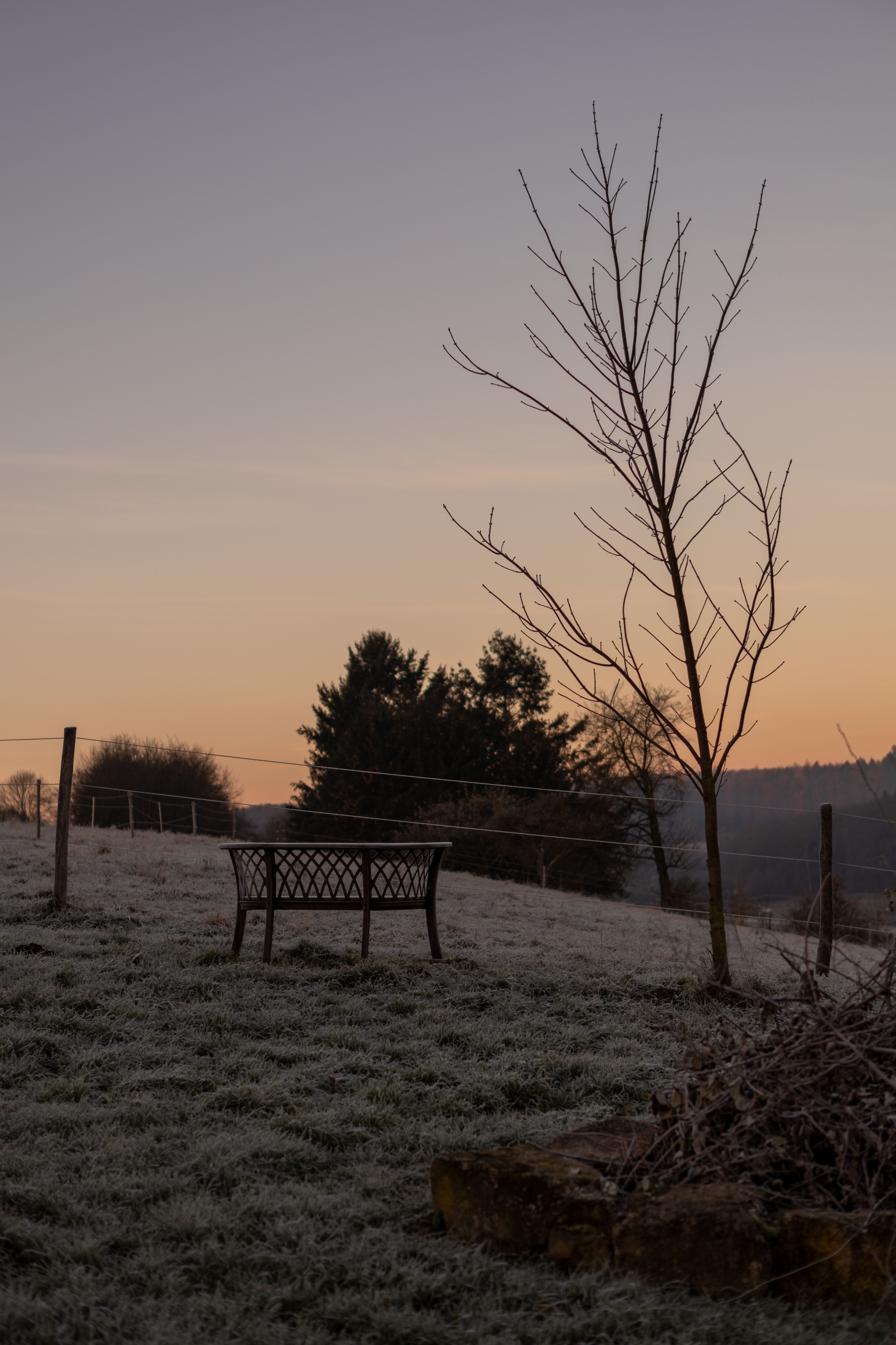 Serene Countryside at Sunset with Bench · Free Stock Photo