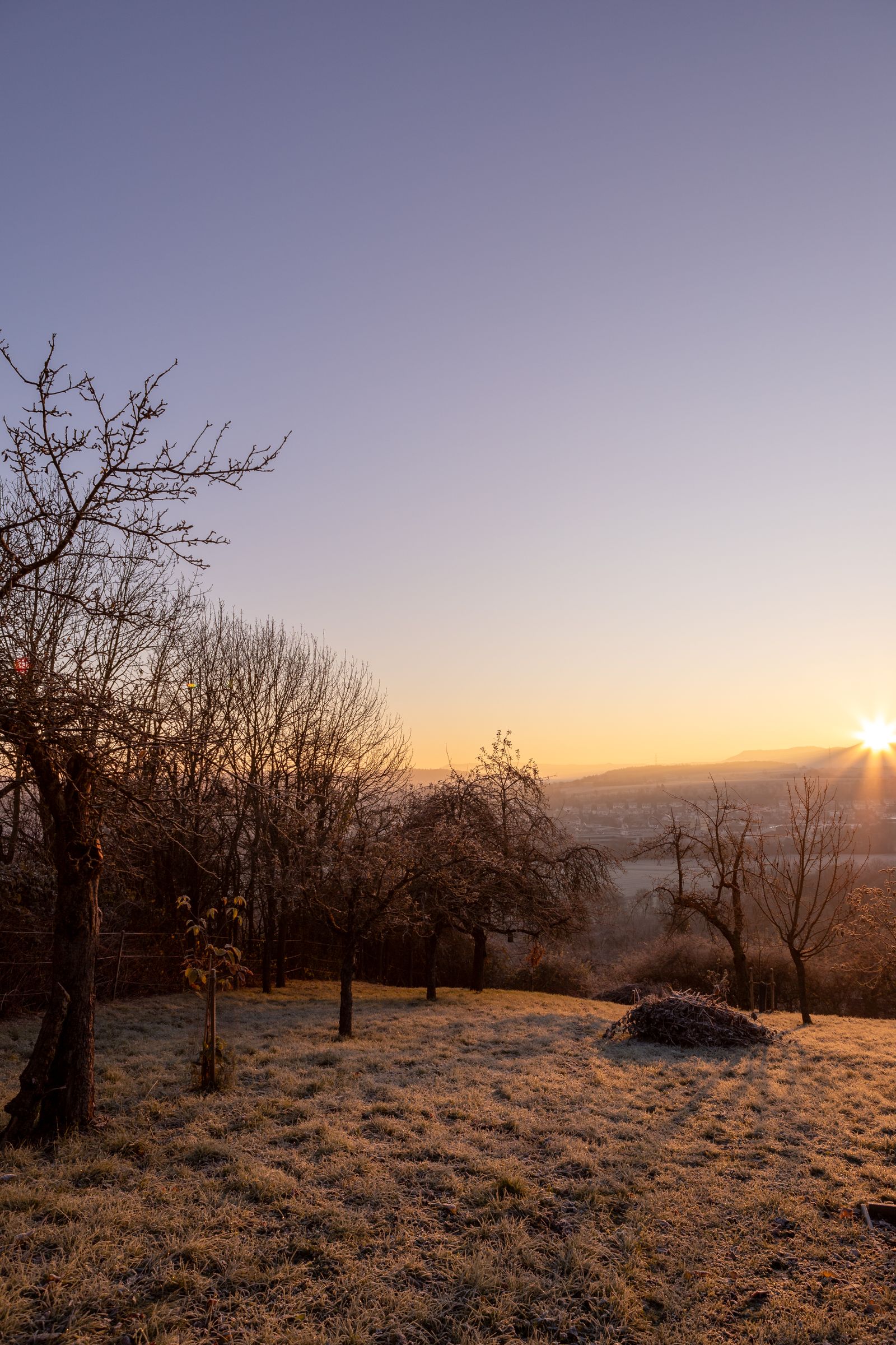 Winter Sun Photos, Download The BEST Free Winter Sun Stock Photos & HD ...