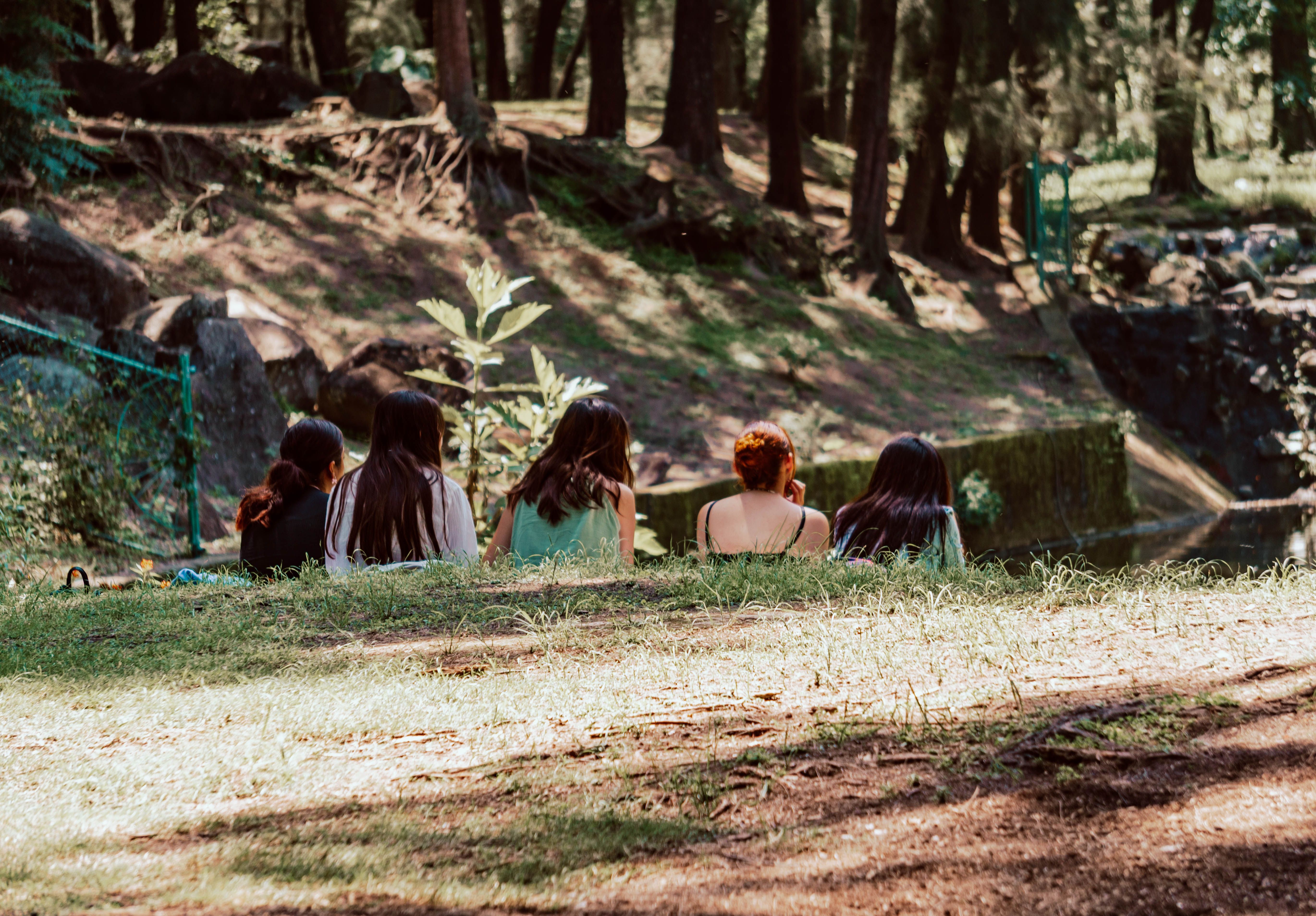 Forest Chill Photos, Download The BEST Free Forest Chill Stock Photos ...