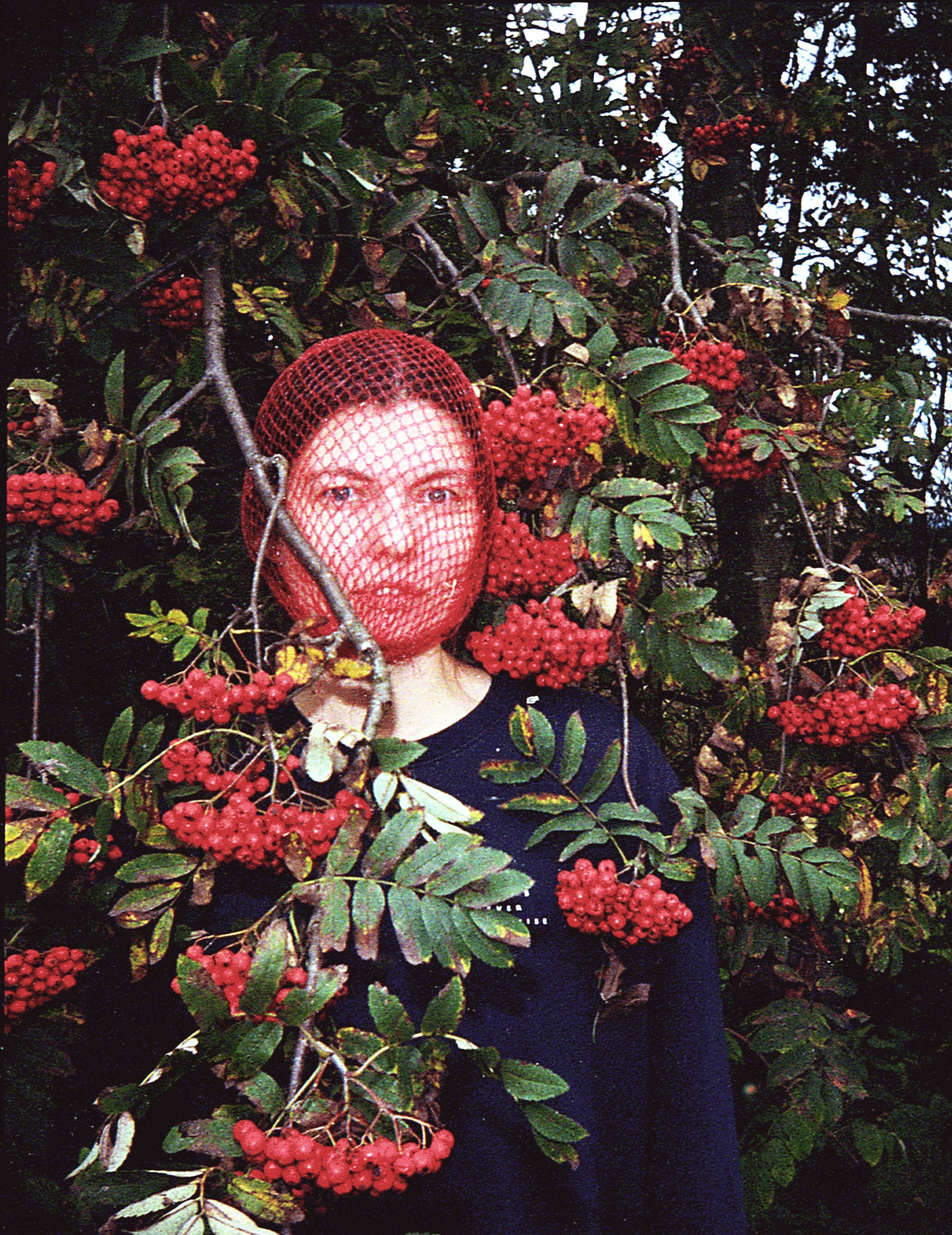 Woman with Red Mesh Surrounded by Red Berries · Free Stock Photo