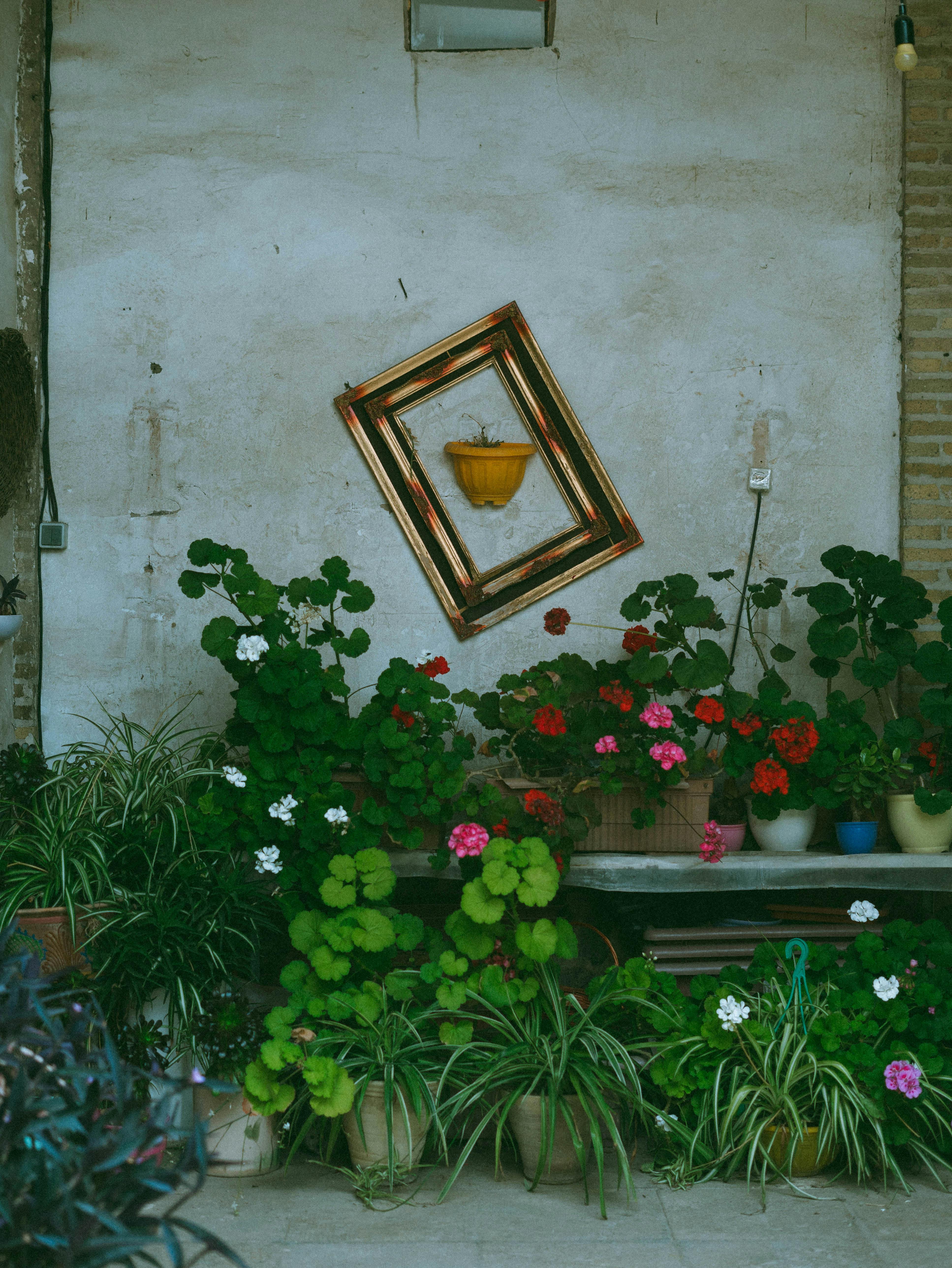 Tilted Frame Photos, Download The BEST Free Tilted Frame Stock Photos ...