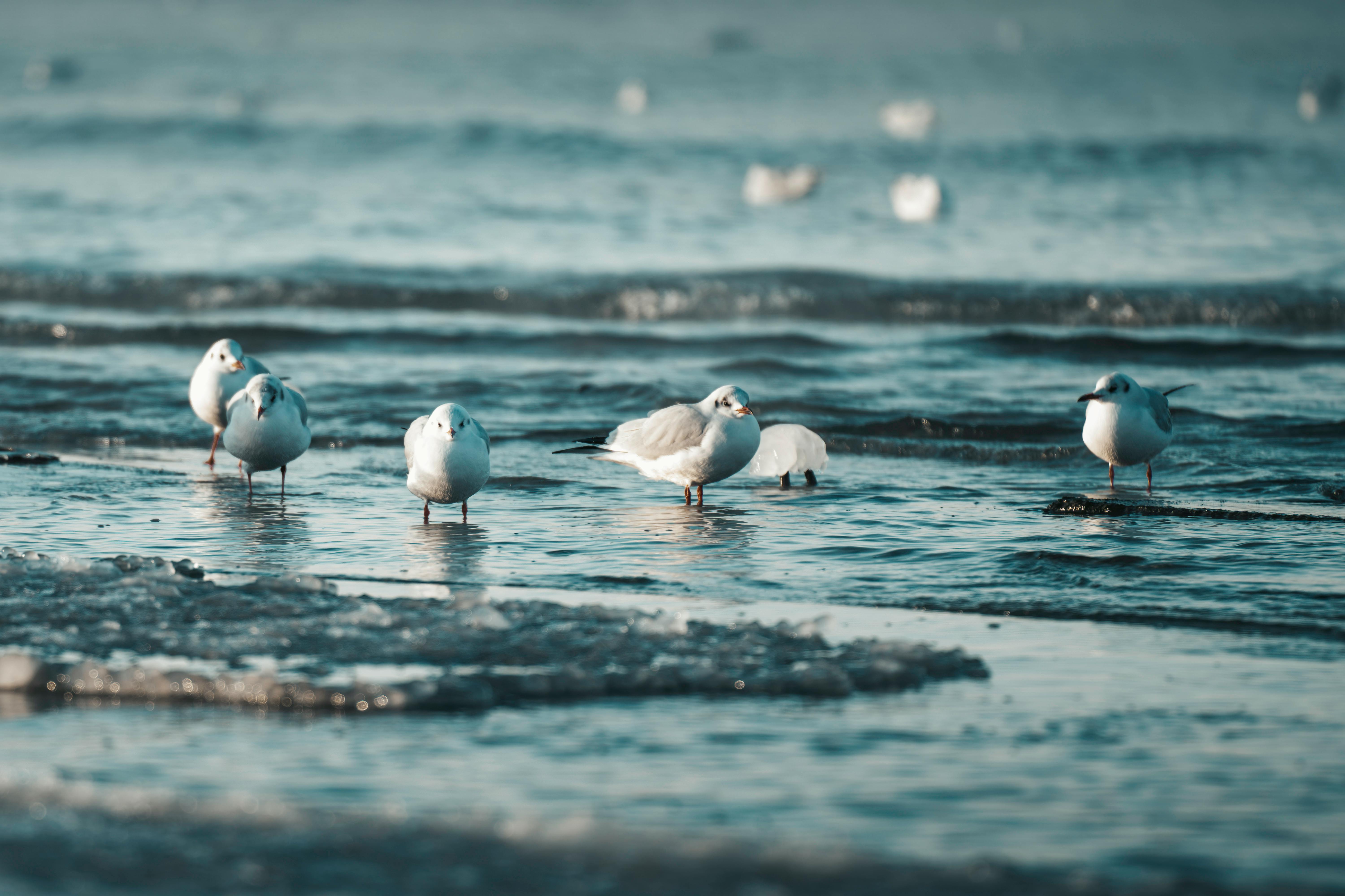 Laht Mediterania Photos, Download The BEST Free Laht Mediterania Stock ...