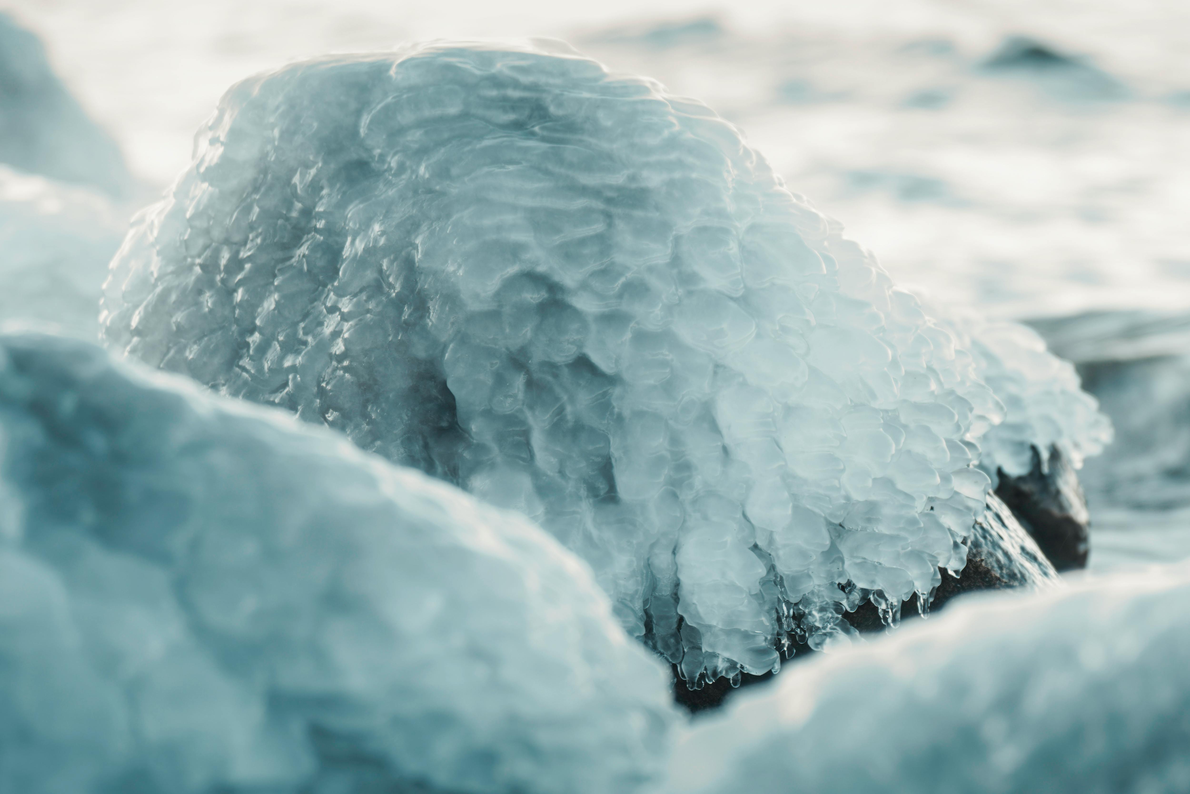 Stunning Ice-Covered Stone in Estonian Winter · Free Stock Photo