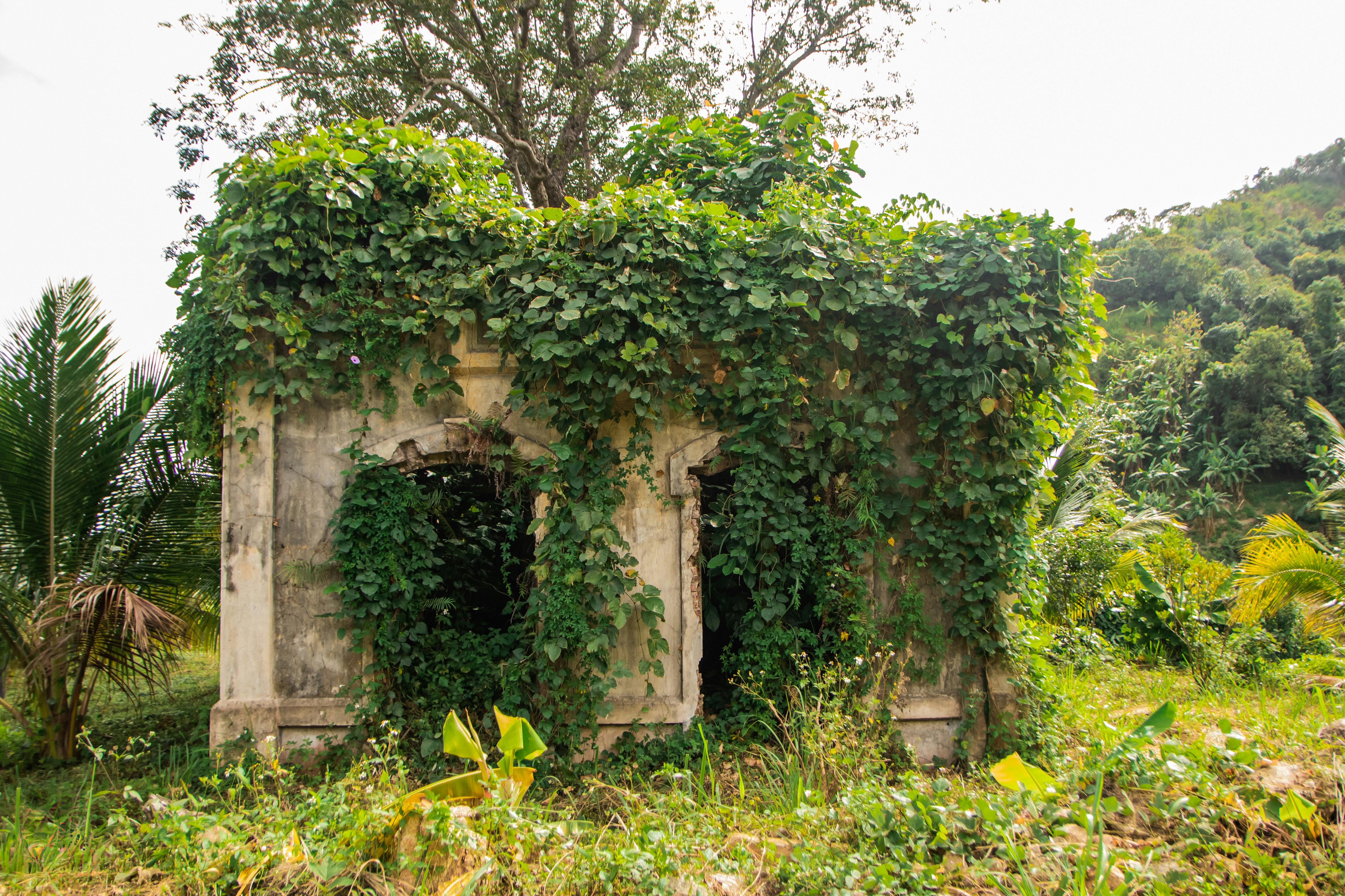 Rapi Ruin Photos, Download The BEST Free Rapi Ruin Stock Photos & HD Images