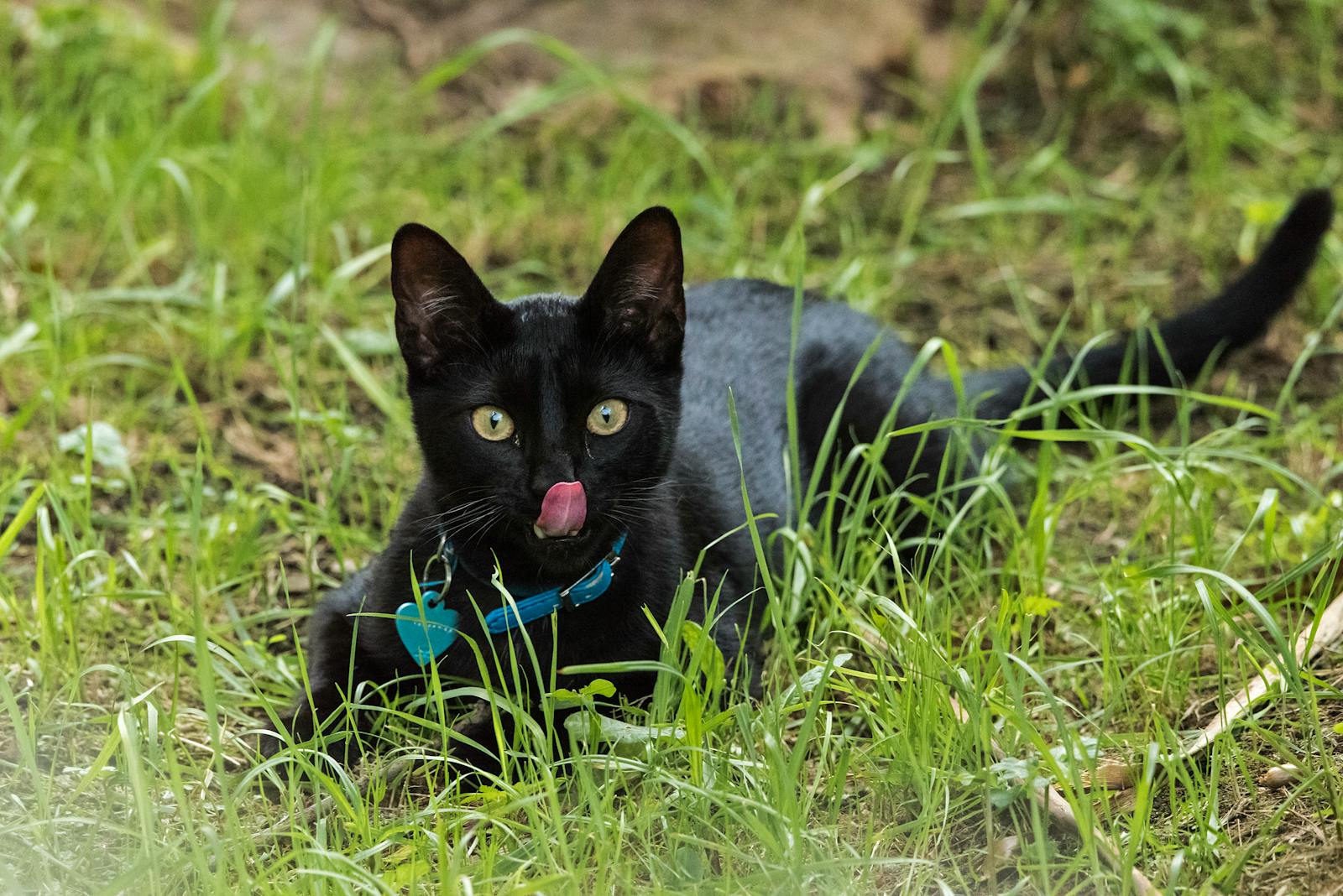 Blue Collar Photos, Download The BEST Free Blue Collar Stock Photos ...