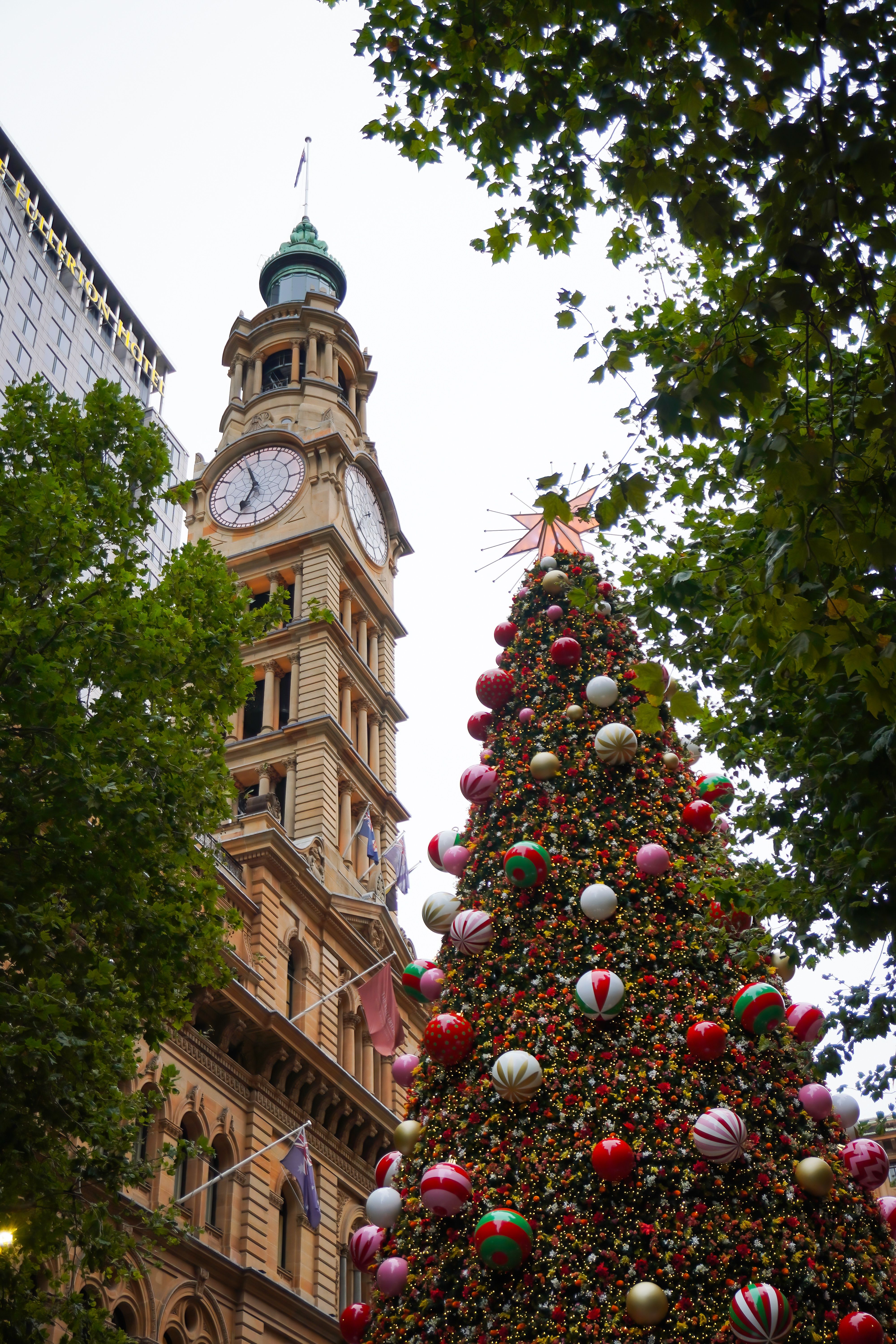 Christmas Tree and Clock Tower in Urban Setting · Free Stock Photo