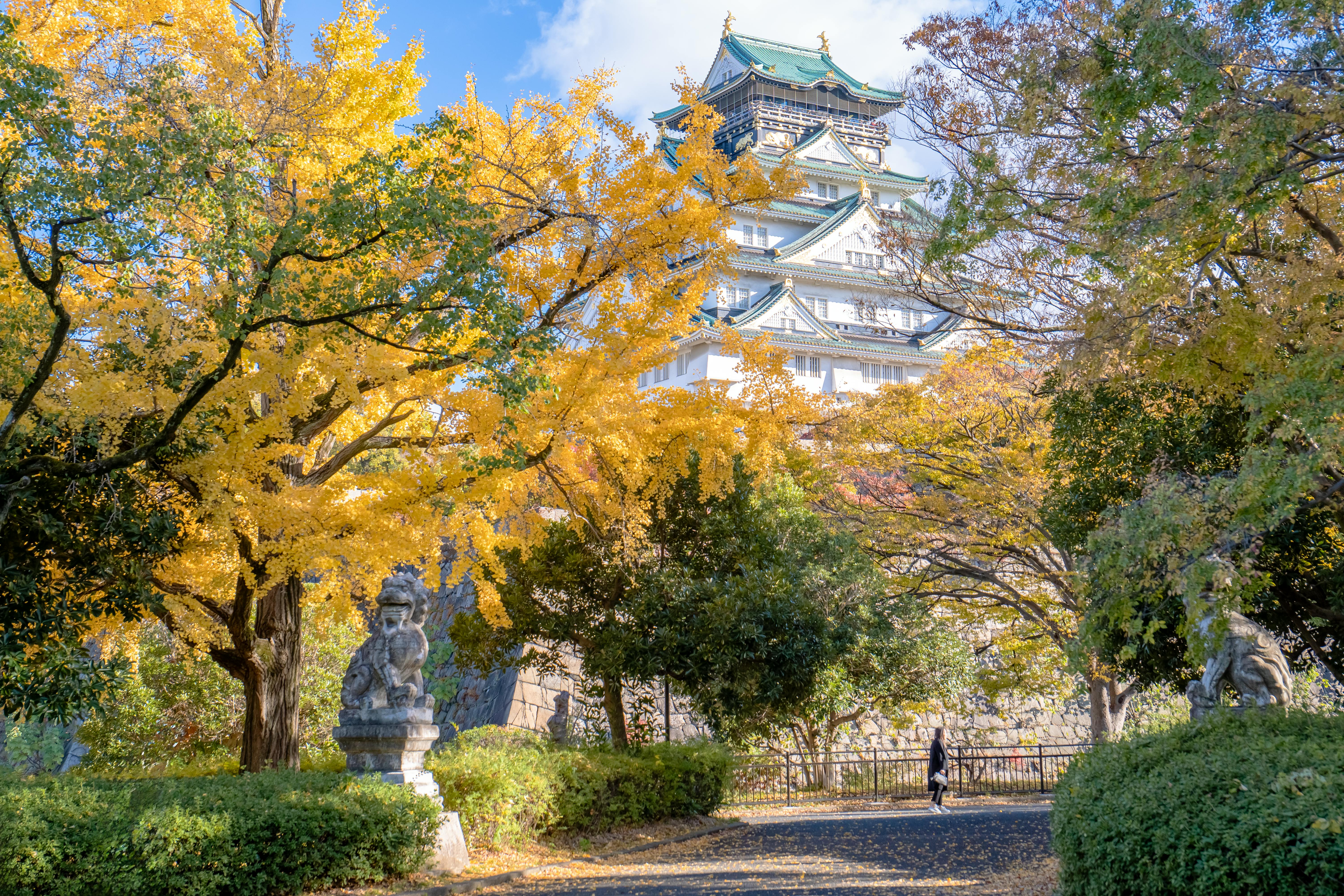 Osaka Castle in Fall with Vibrant Foliage · Free Stock Photo
