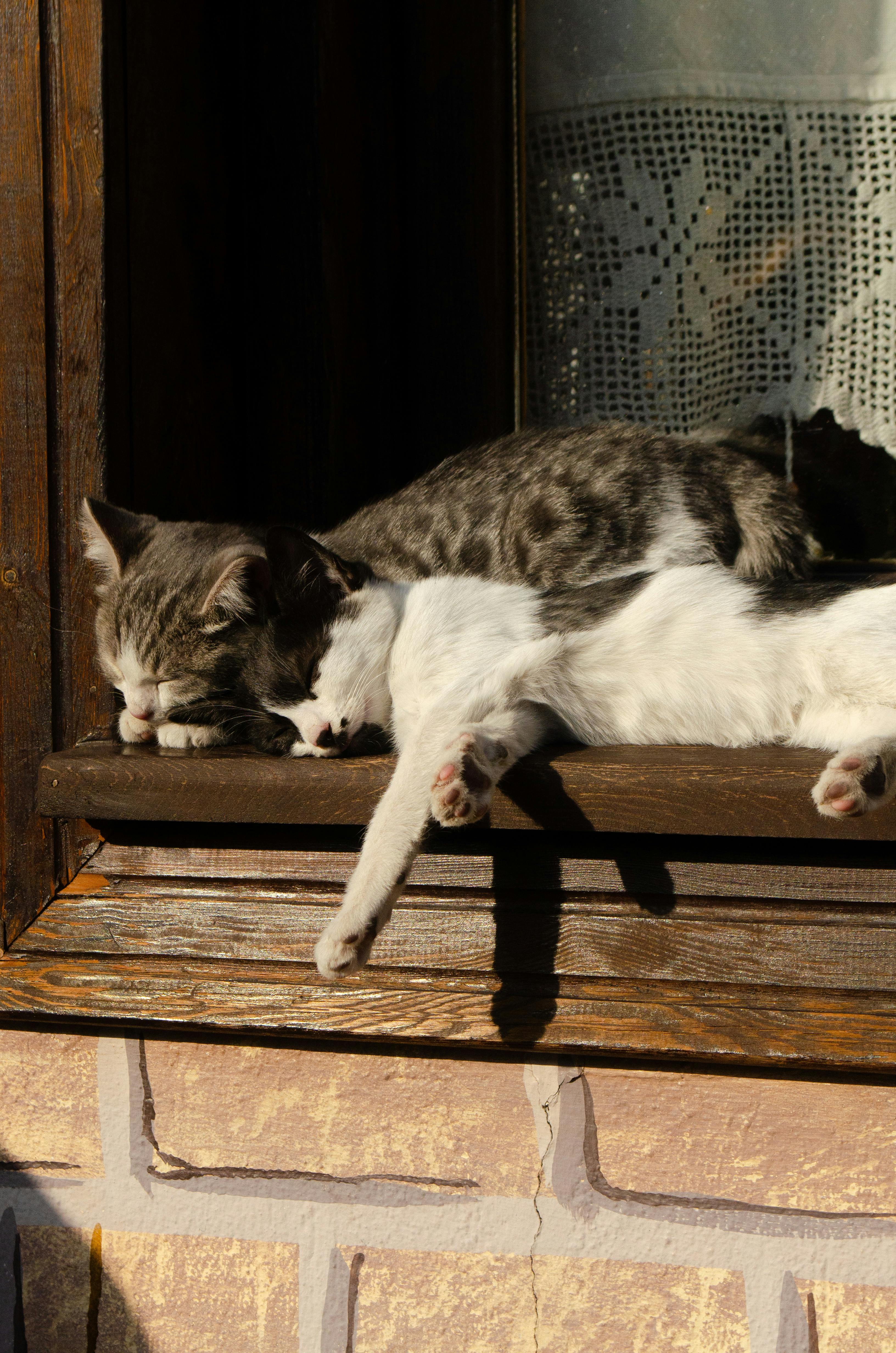 Sleep Paralysis Photos, Download The BEST Free Sleep Paralysis Stock ...