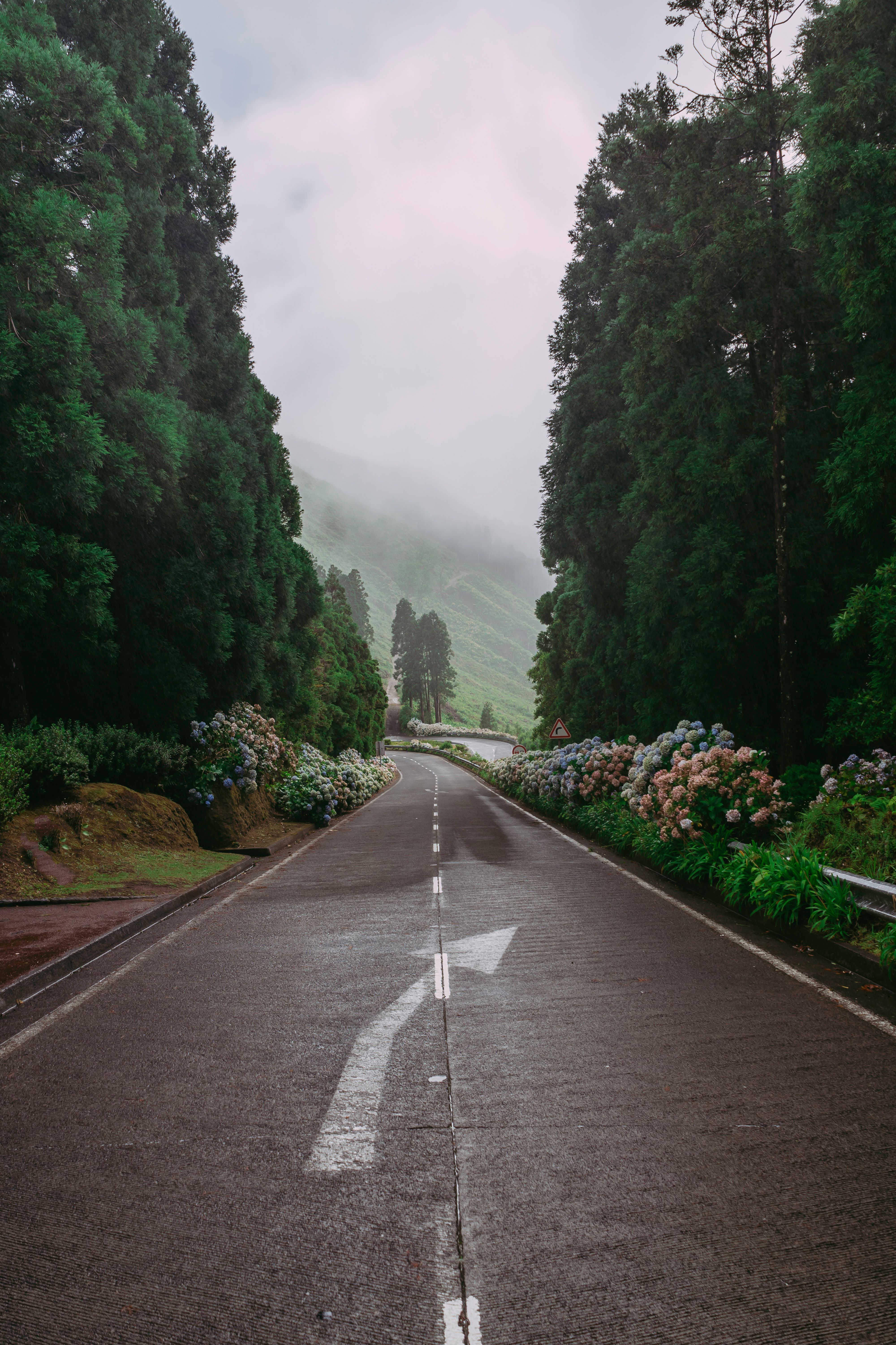 Empty Highway · Free Stock Photo