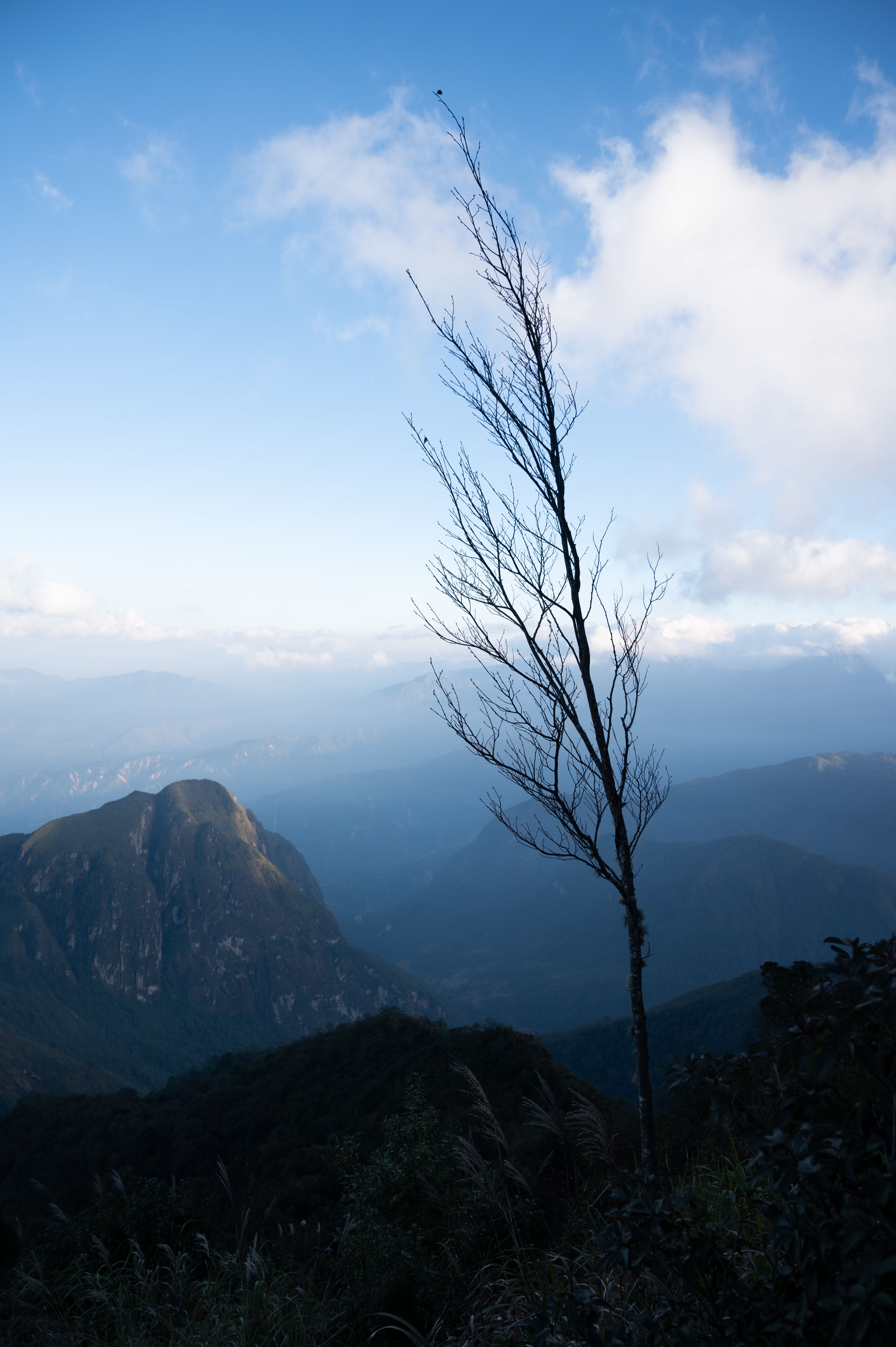 Scenic Mountain View in Lào Cai, Vietnam · Free Stock Photo