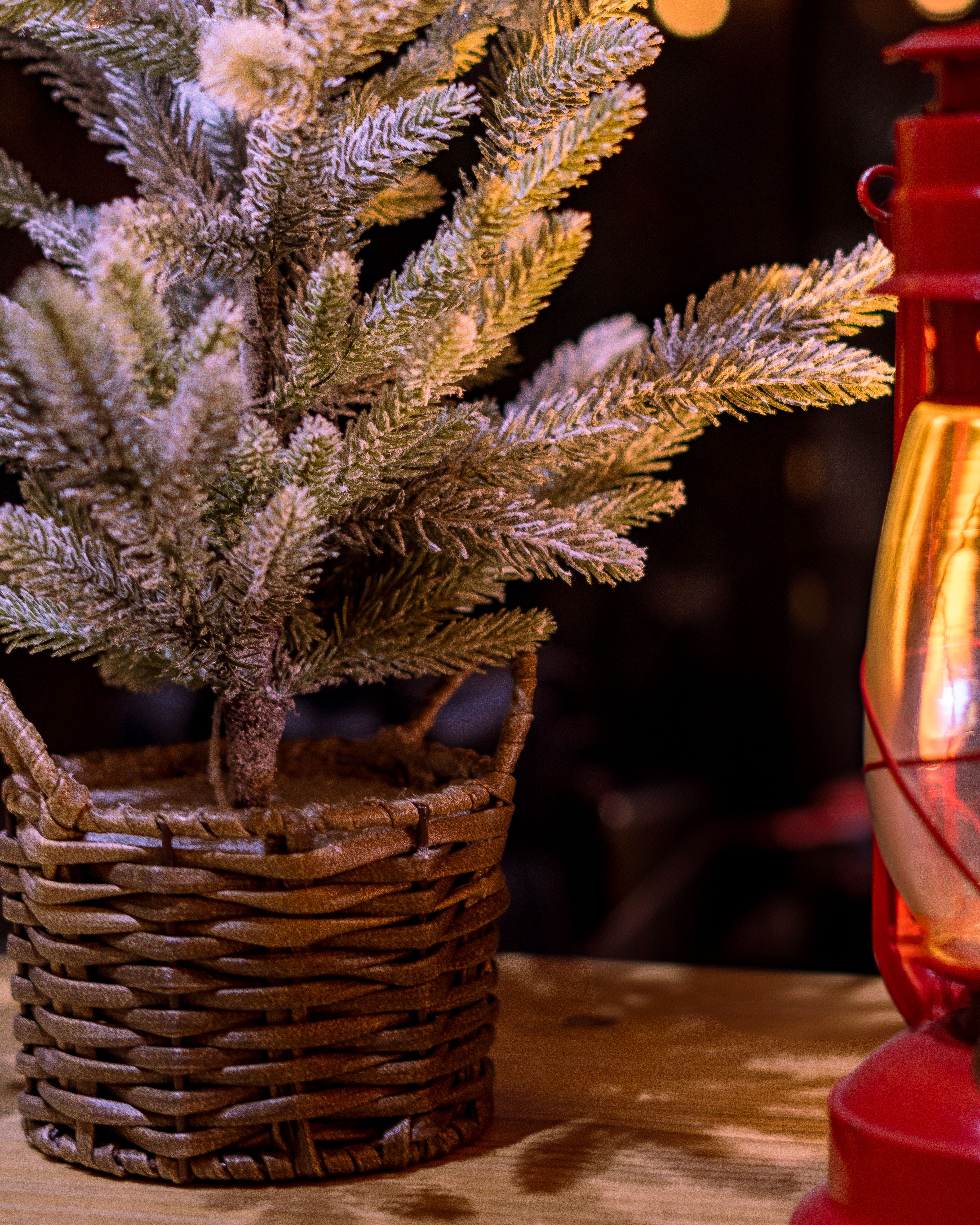 Cozy Rustic Christmas Decor with Snowy Pine · Free Stock Photo
