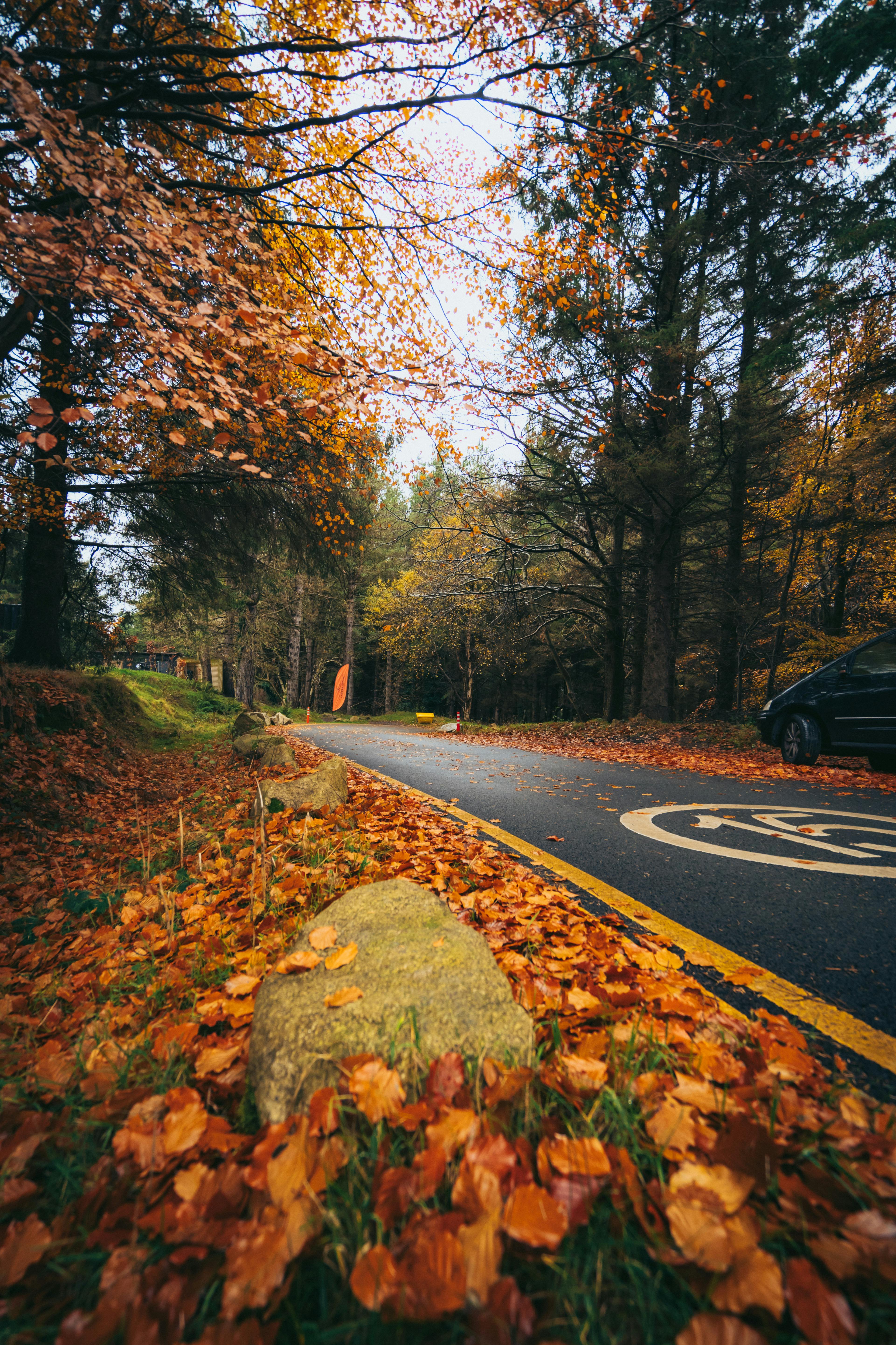 Roadside Path Photos, Download The BEST Free Roadside Path Stock Photos ...