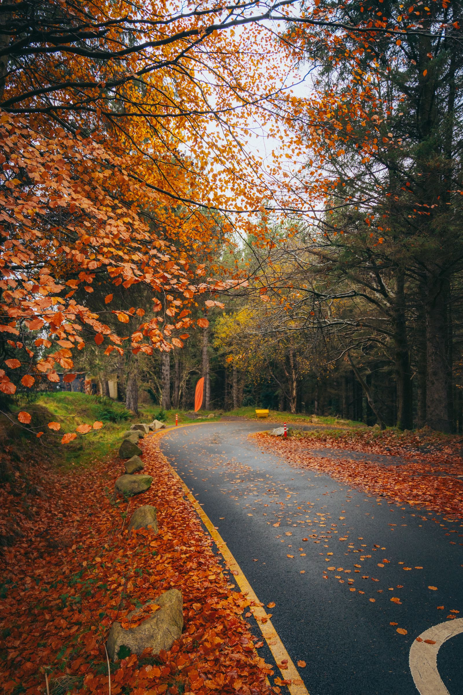 Autumn Landscape Photos, Download The BEST Free Autumn Landscape Stock ...