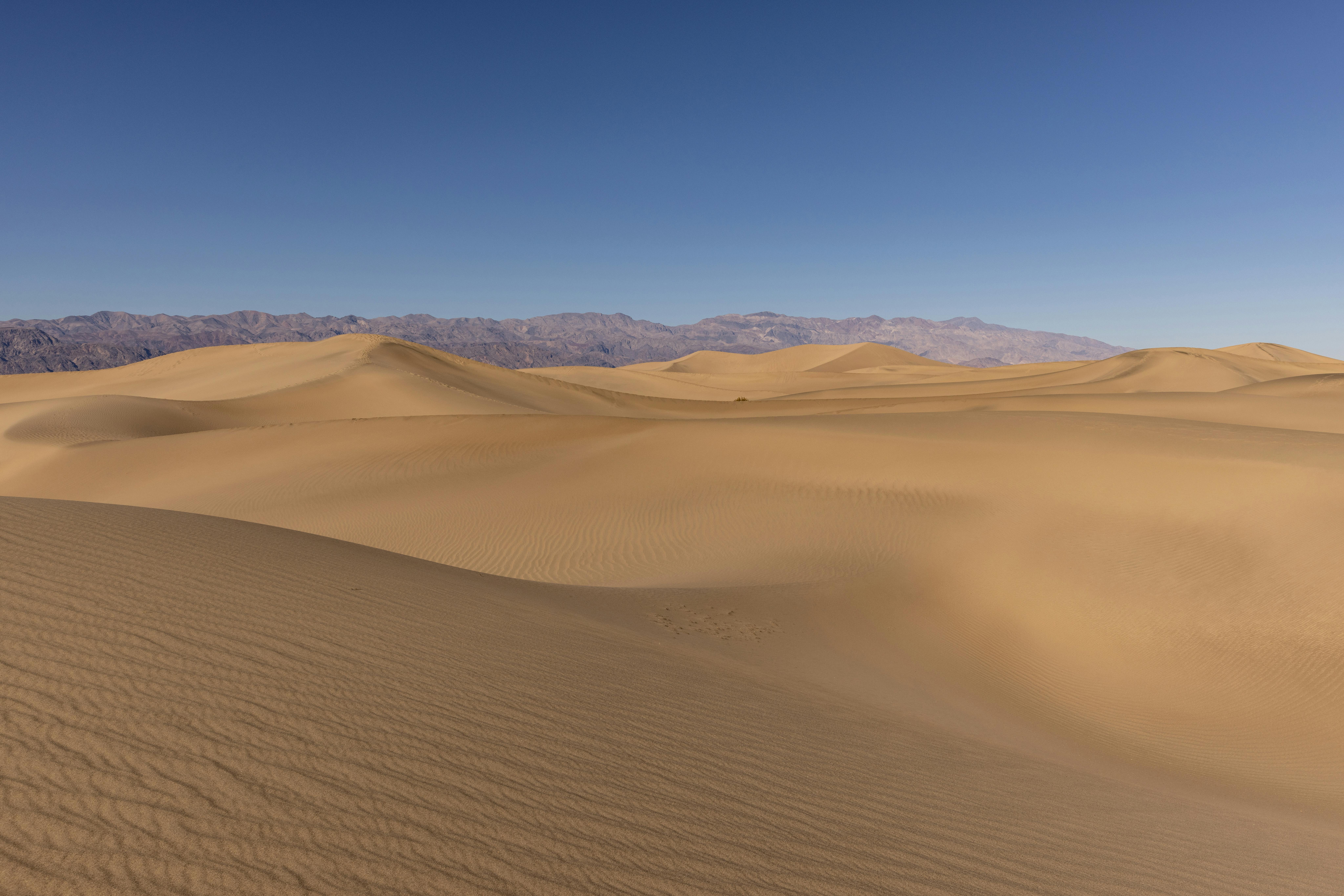Desert Landscape Photos, Download The BEST Free Desert Landscape Stock ...