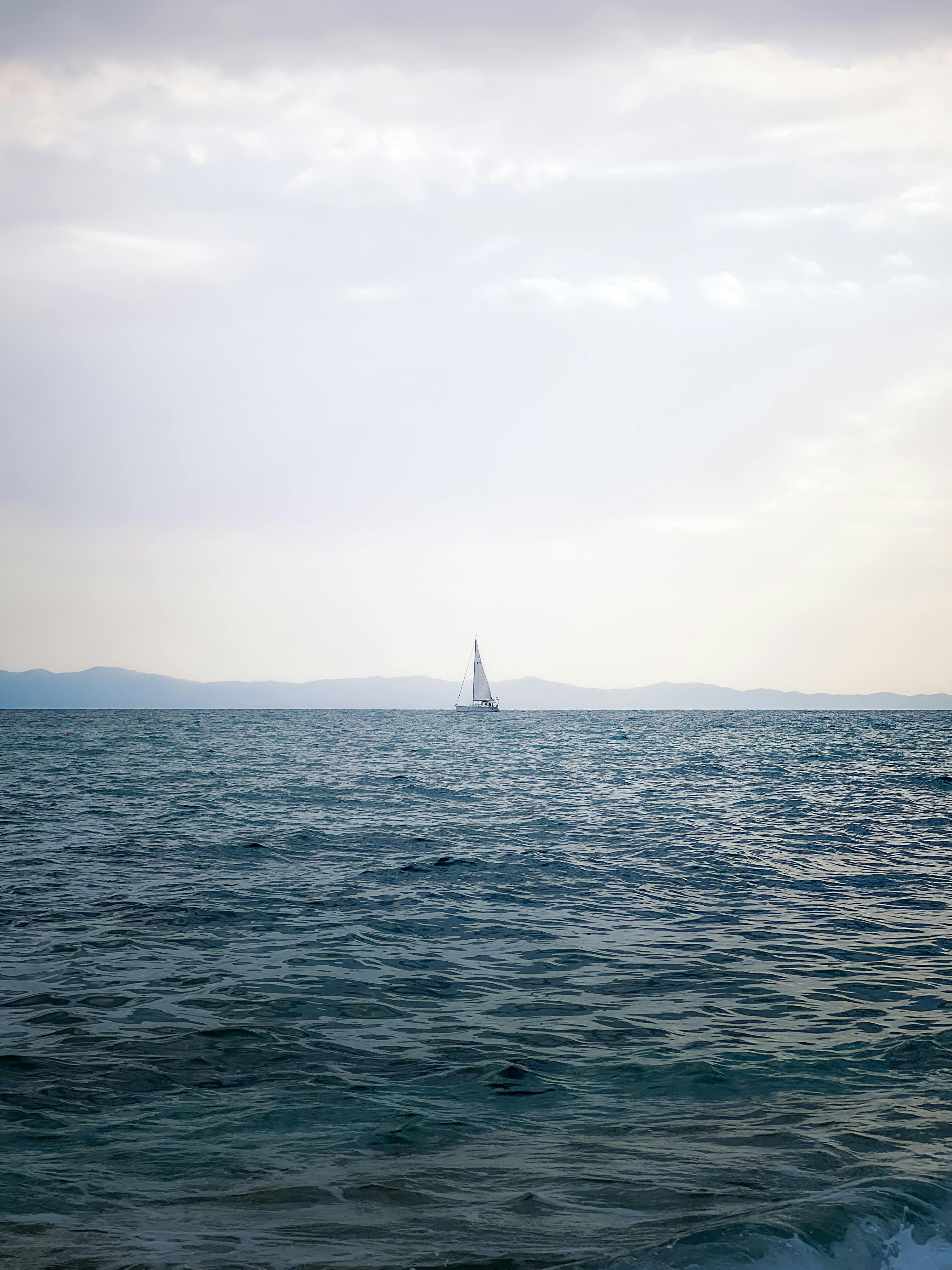 Sea Bea Photos, Download The BEST Free Sea Bea Stock Photos & HD Images