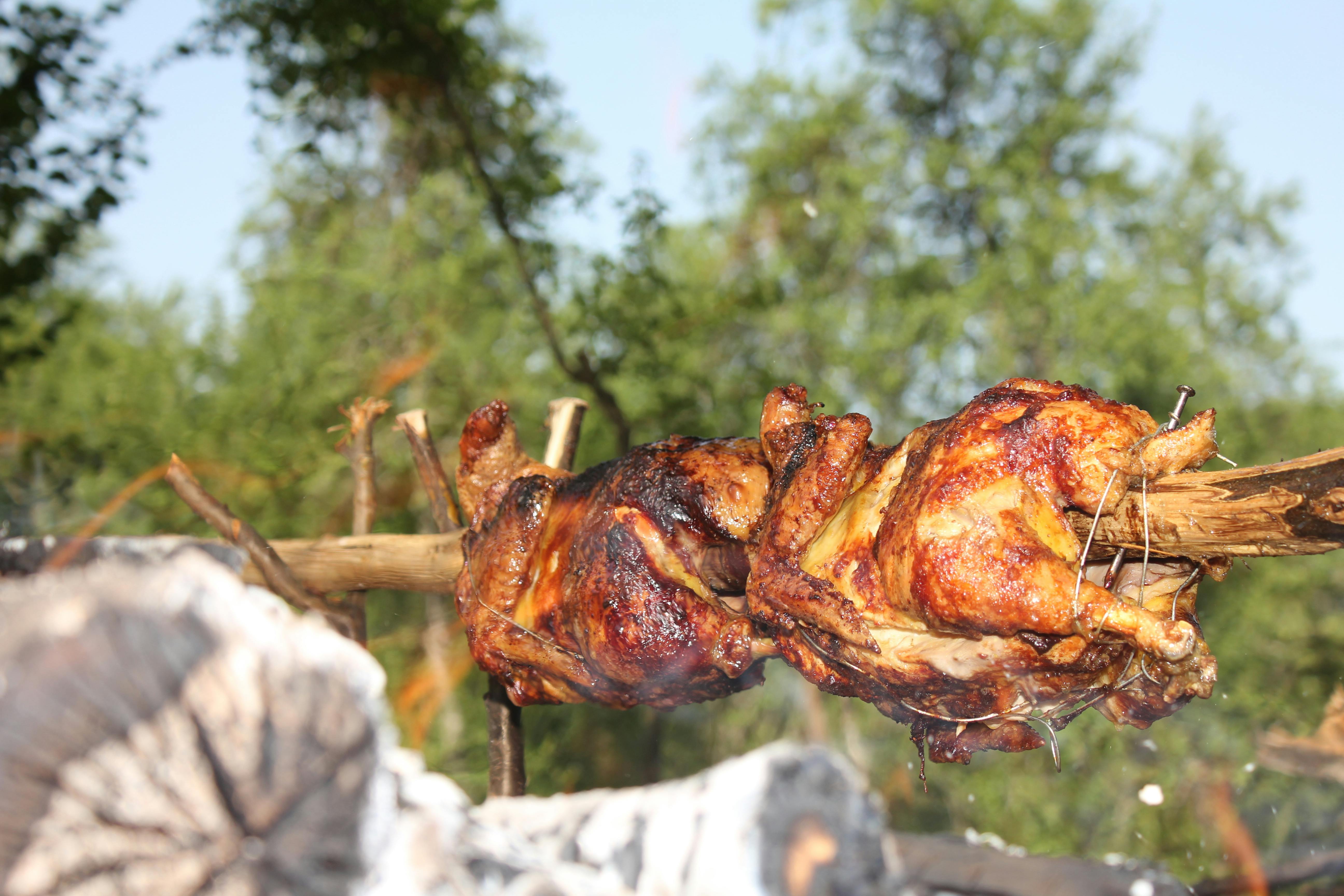 Juicy Roasted Chickens on Open Fire Spit · Free Stock Photo