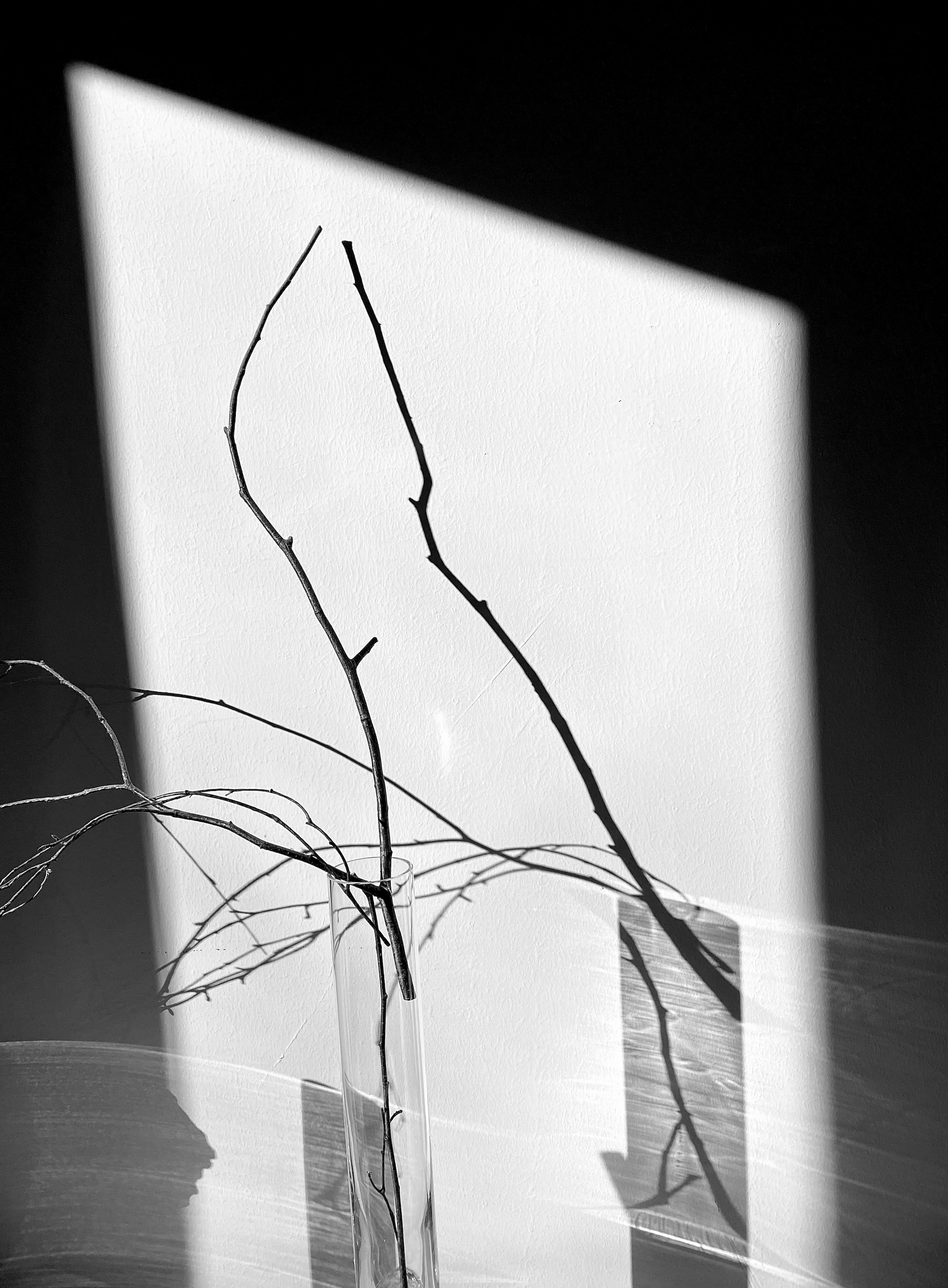 Minimalist Black and White Shadow Art · Free Stock Photo