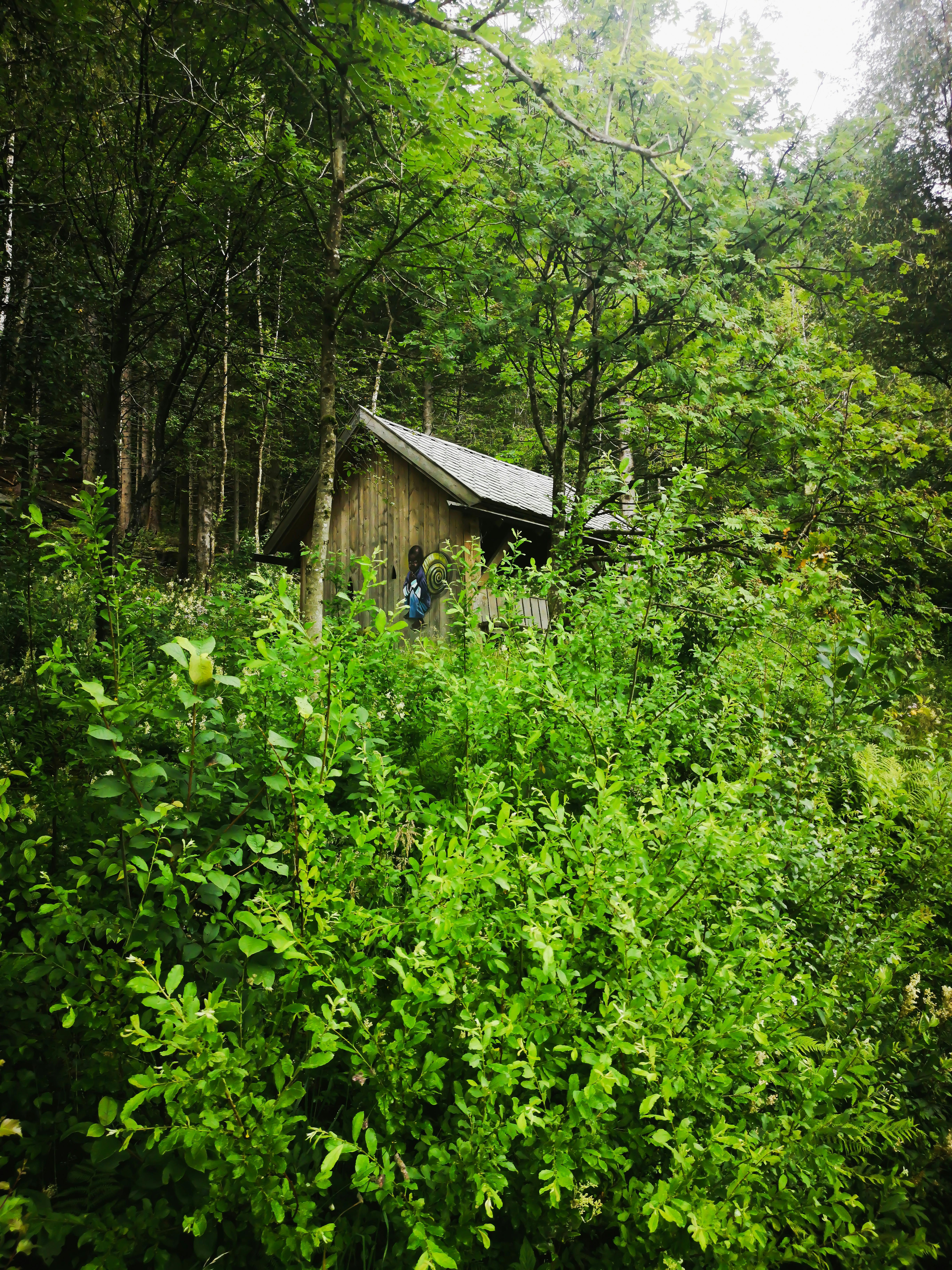 Photo De Cabane Au Milieu De La Forêt · Photo gratuite