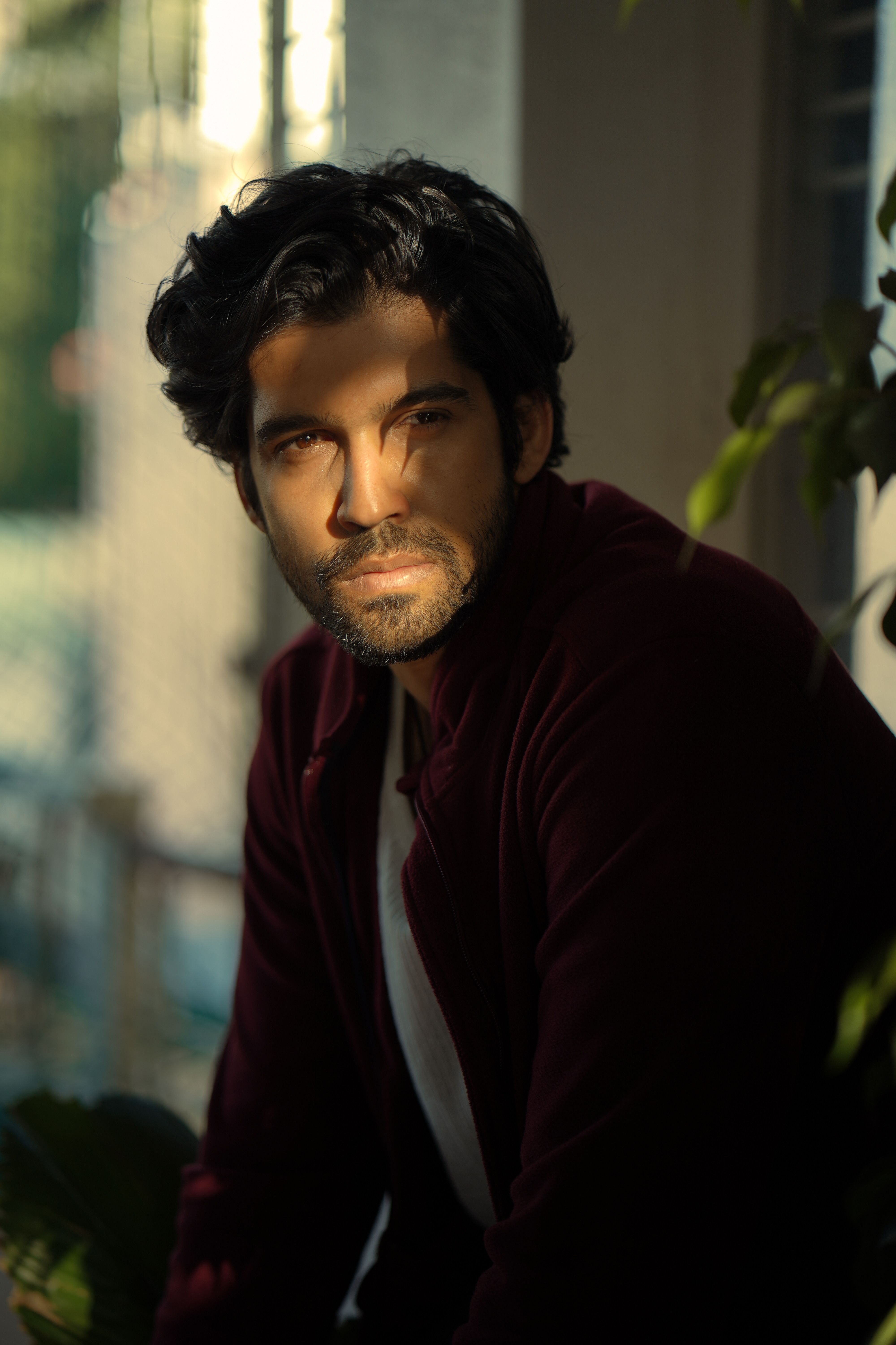 Moody Portrait of Man in Natural Light · Free Stock Photo