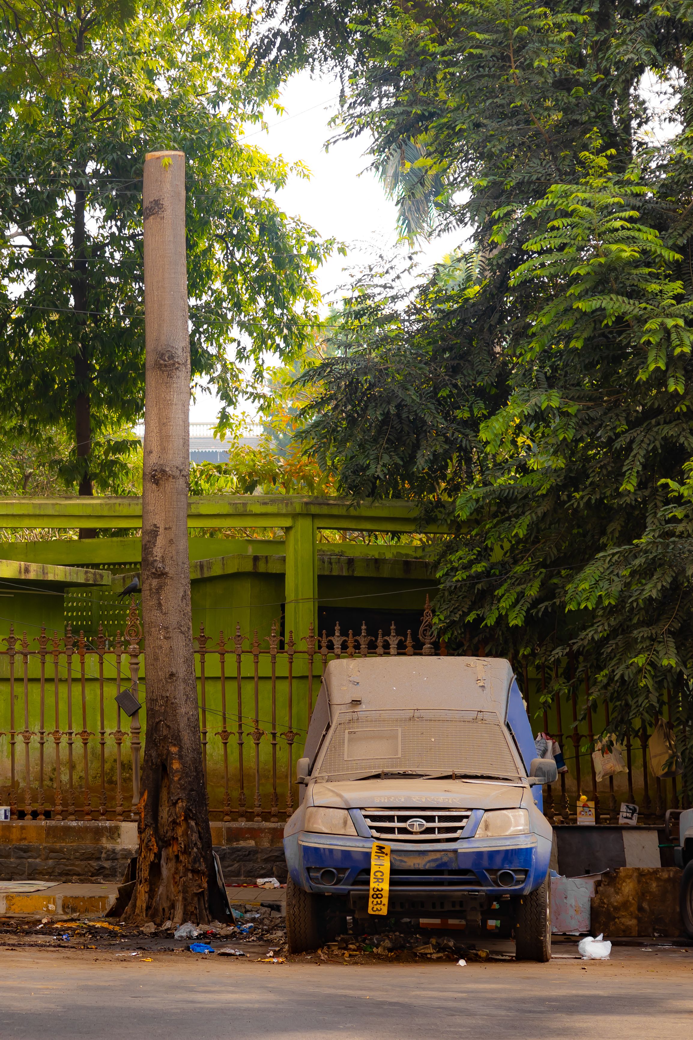 Old Vehicle Parked Under Tall Trees · Free Stock Photo