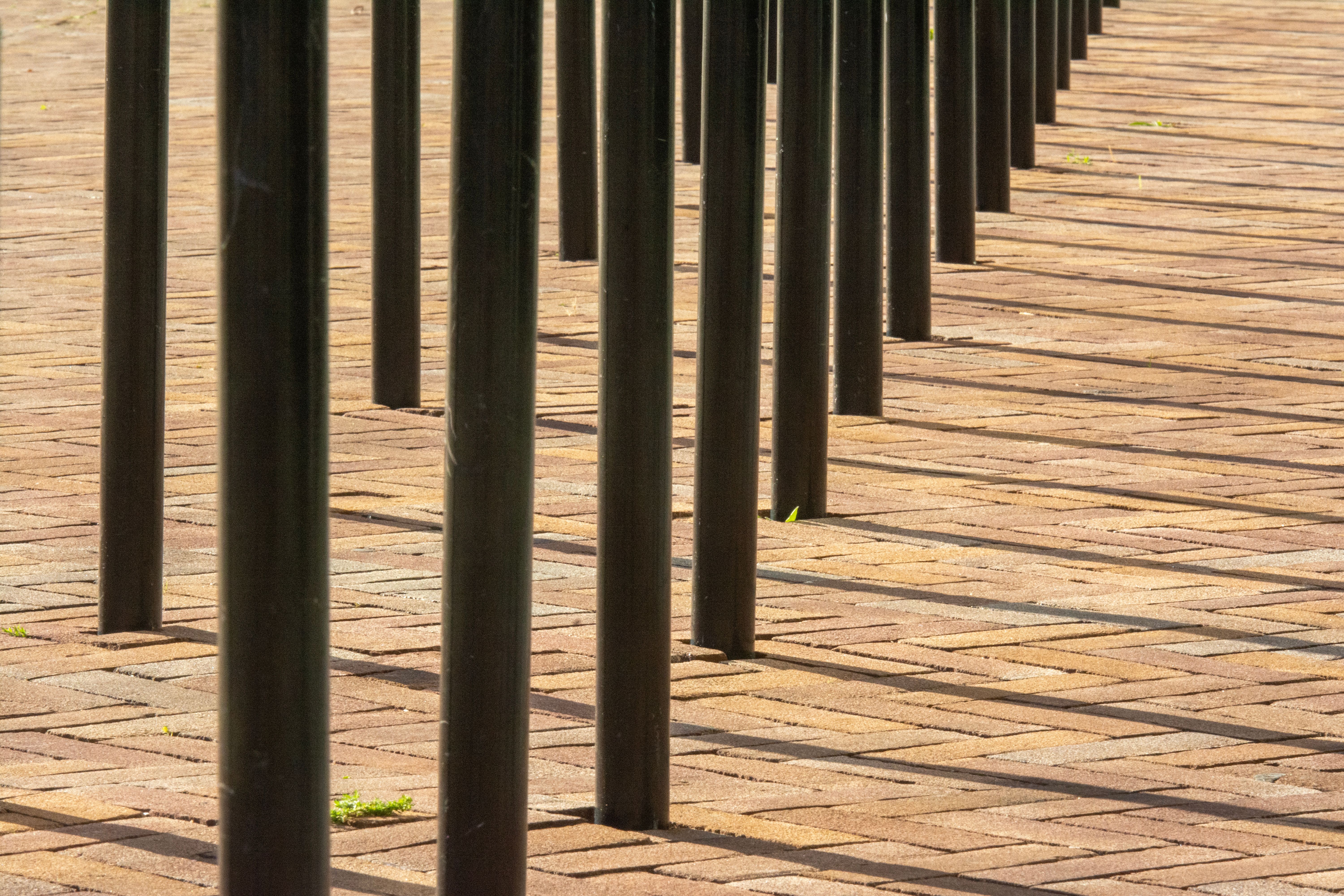 Geometric Shadows on Brick Paved Pathway · Free Stock Photo