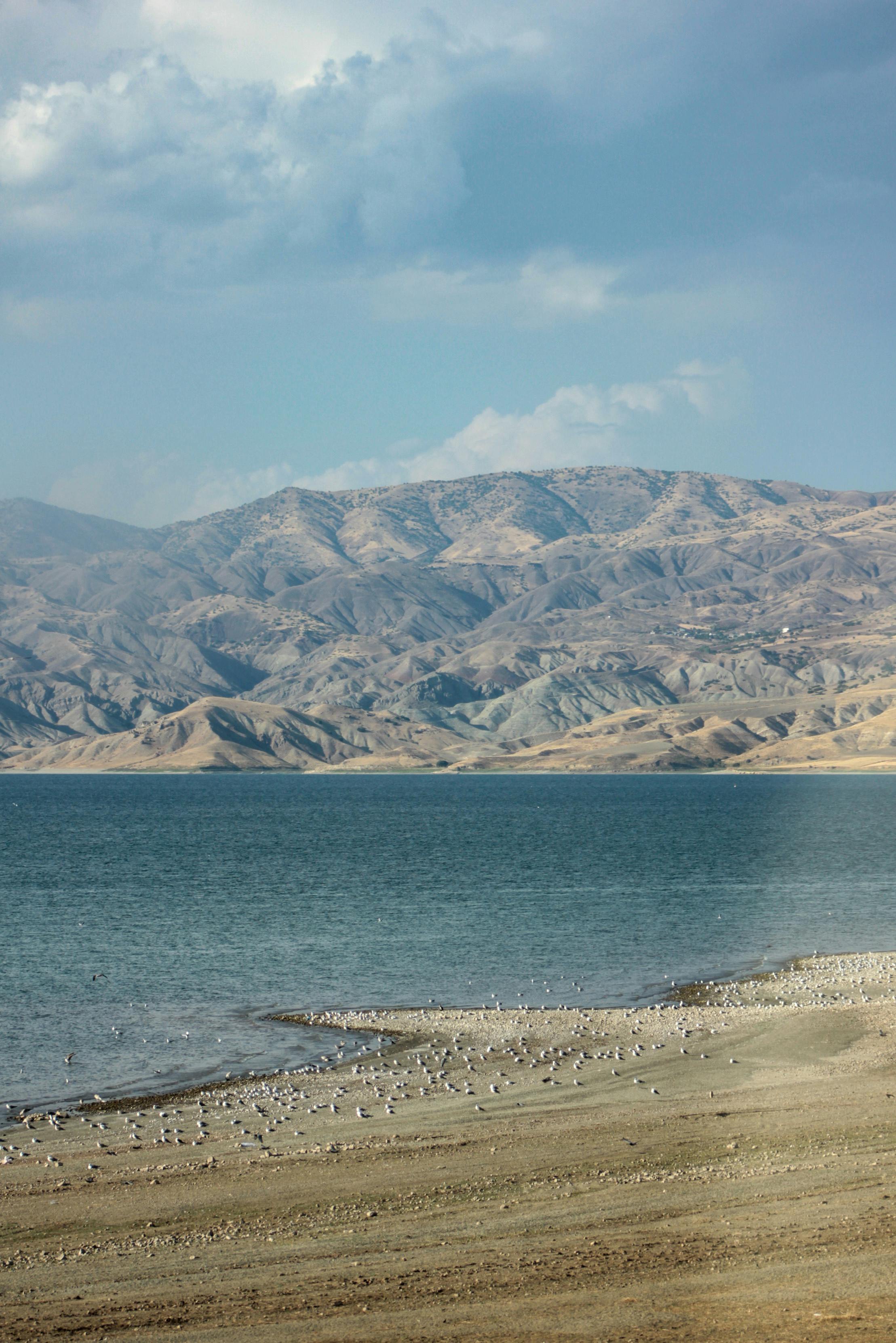 Nature View Photos, Download The BEST Free Nature View Stock Photos ...