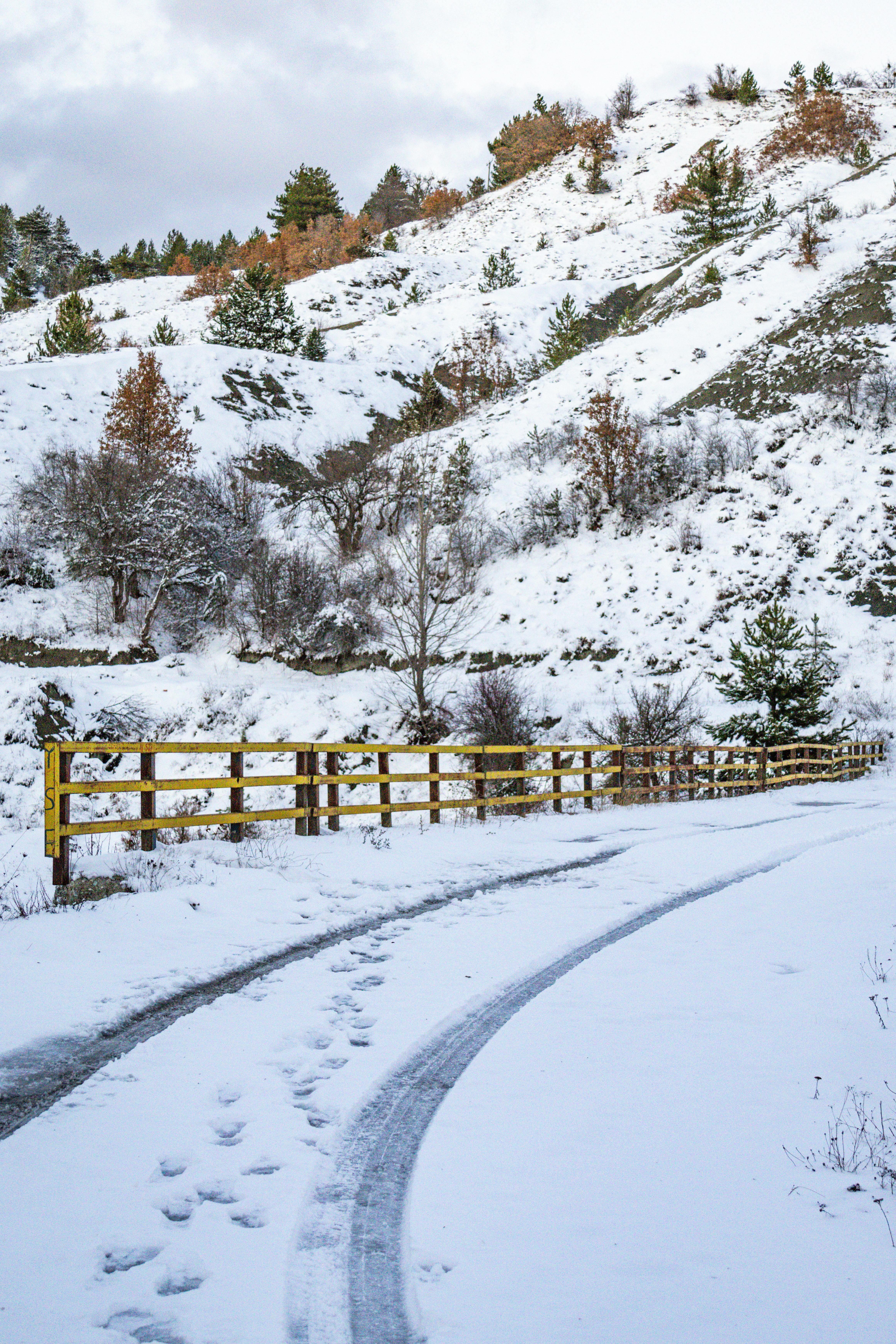Serene Snowy Hillside in Türkiye Winter Landscape · Free Stock Photo