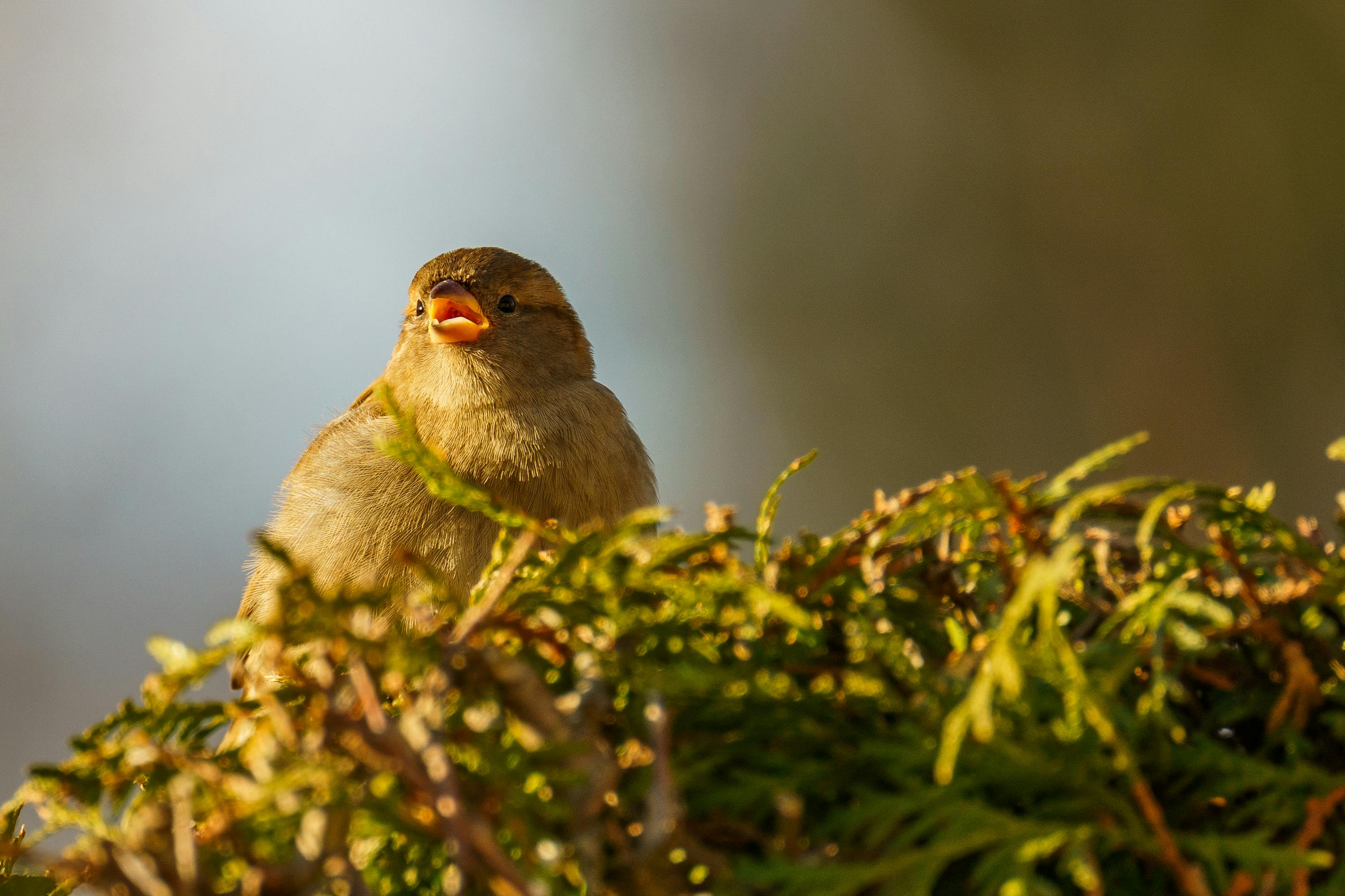 Cast Cutting Photos, Download The BEST Free Cast Cutting Stock Photos ...