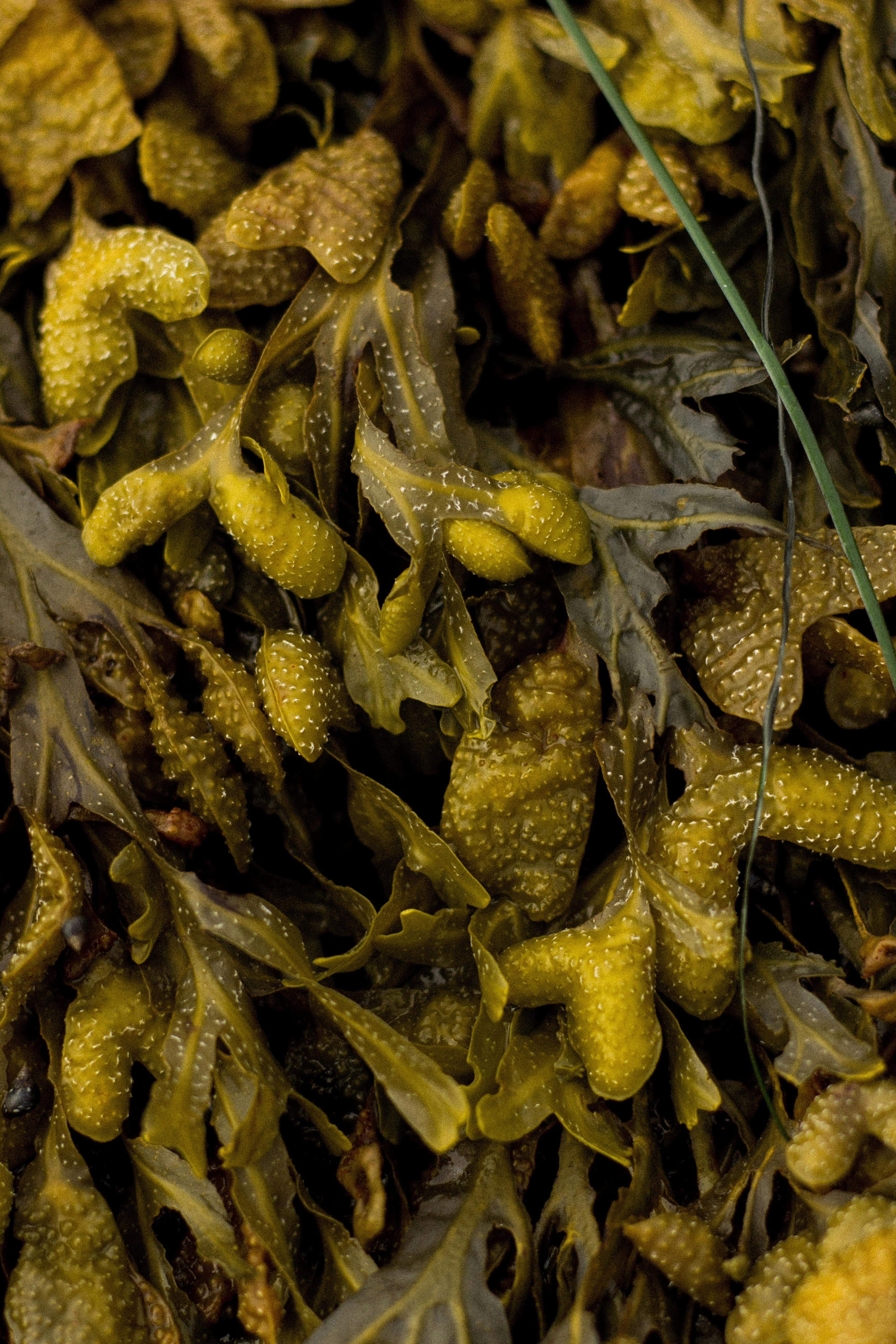 kristen munk · Photography