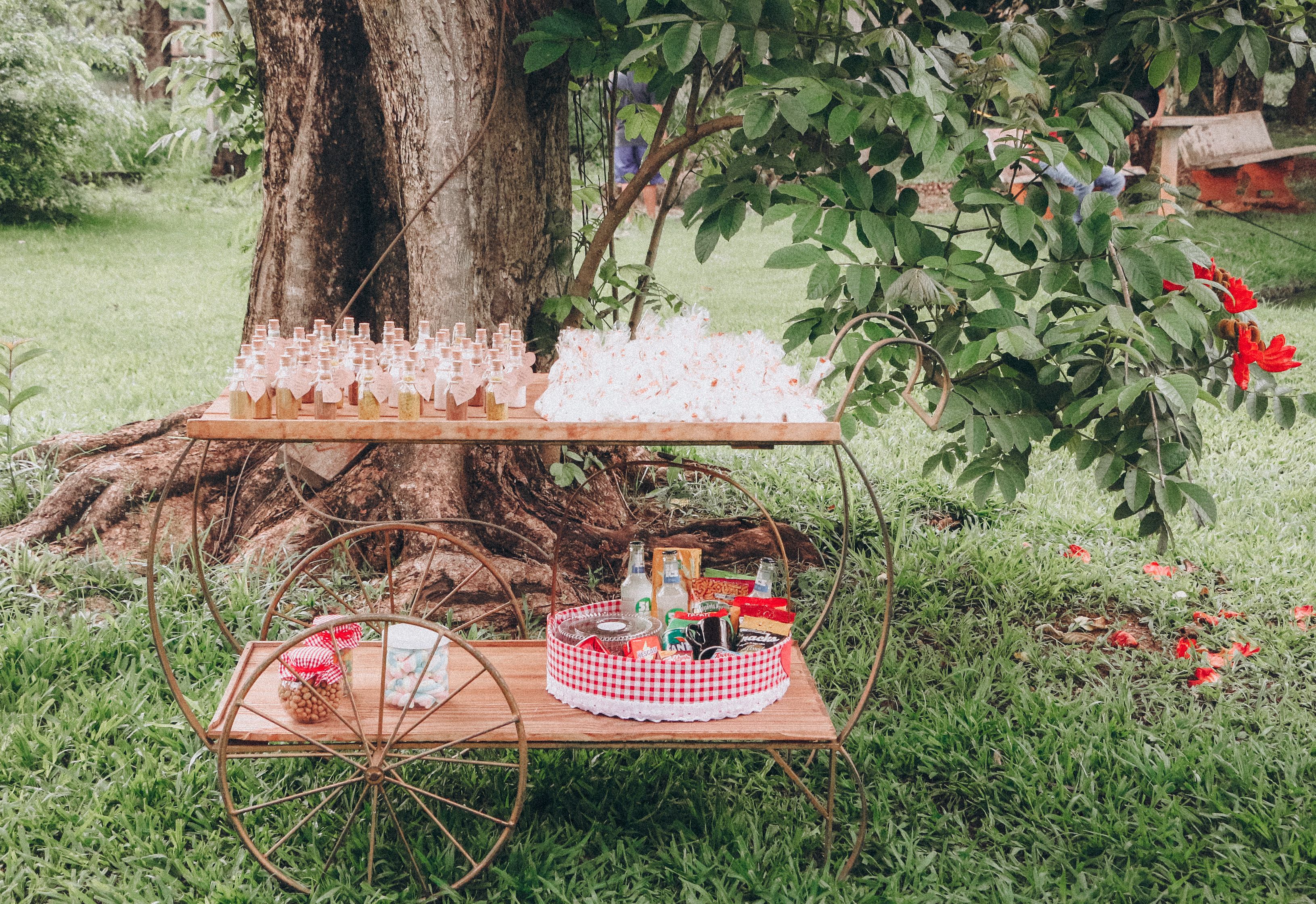 Outdoor Beverage Cart Picnic Scene in Lush Garden · Free Stock Photo