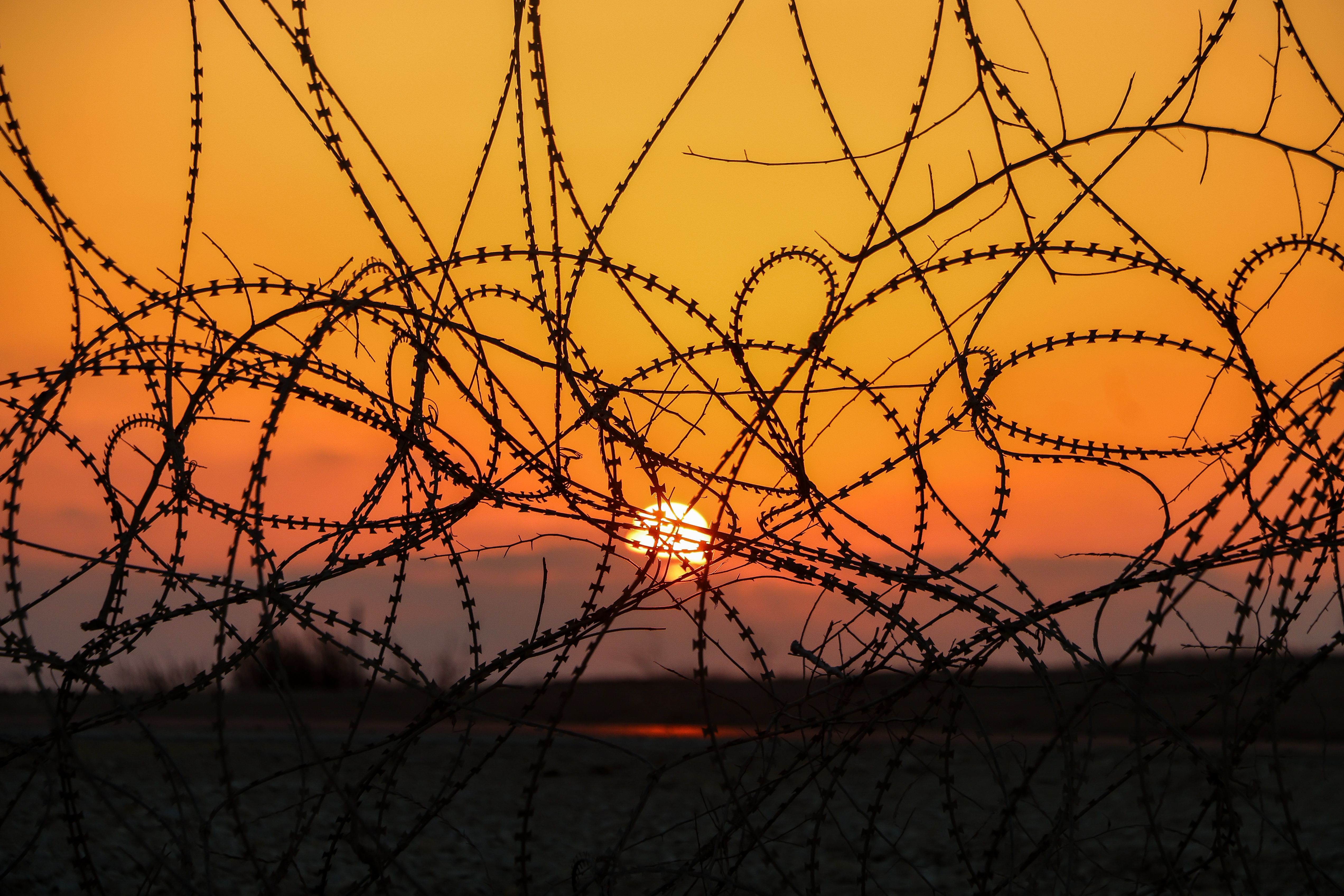 Initial Border Photos, Download The BEST Free Initial Border Stock ...